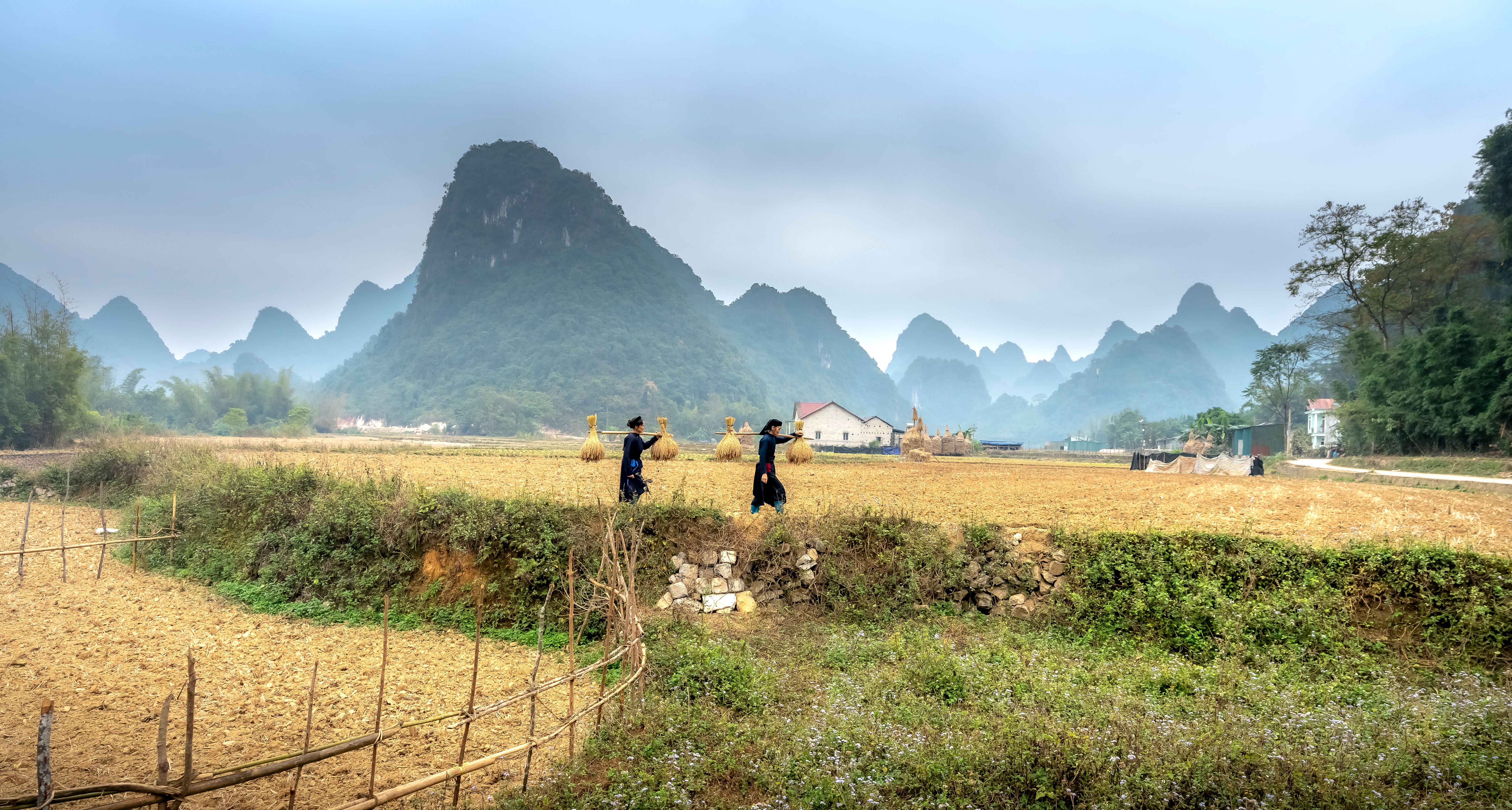 Traditional Farming in Scenic Rural Landscape · Free Stock Photo