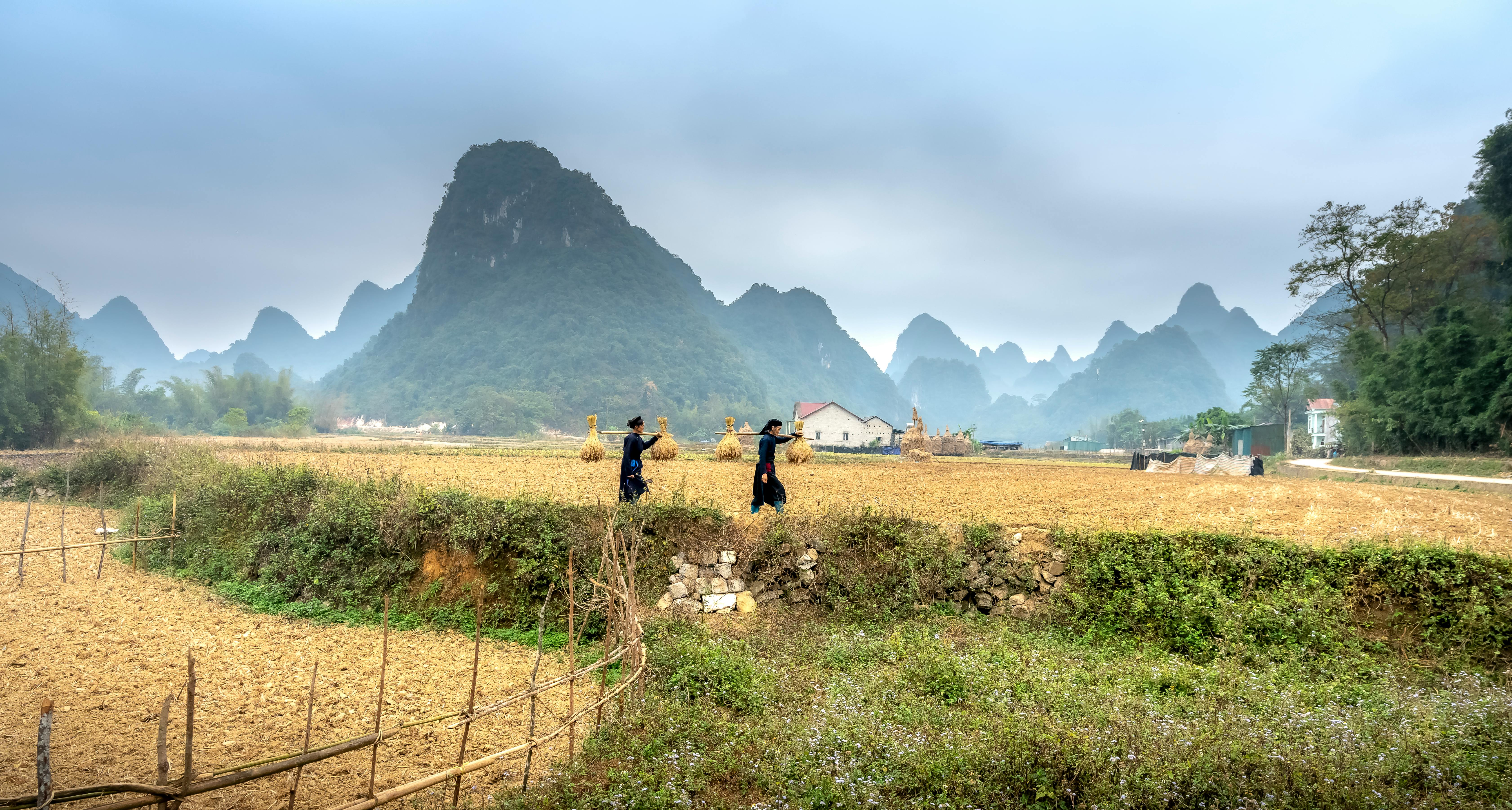 Traditional Farming in Scenic Rural Landscape · Free Stock Photo