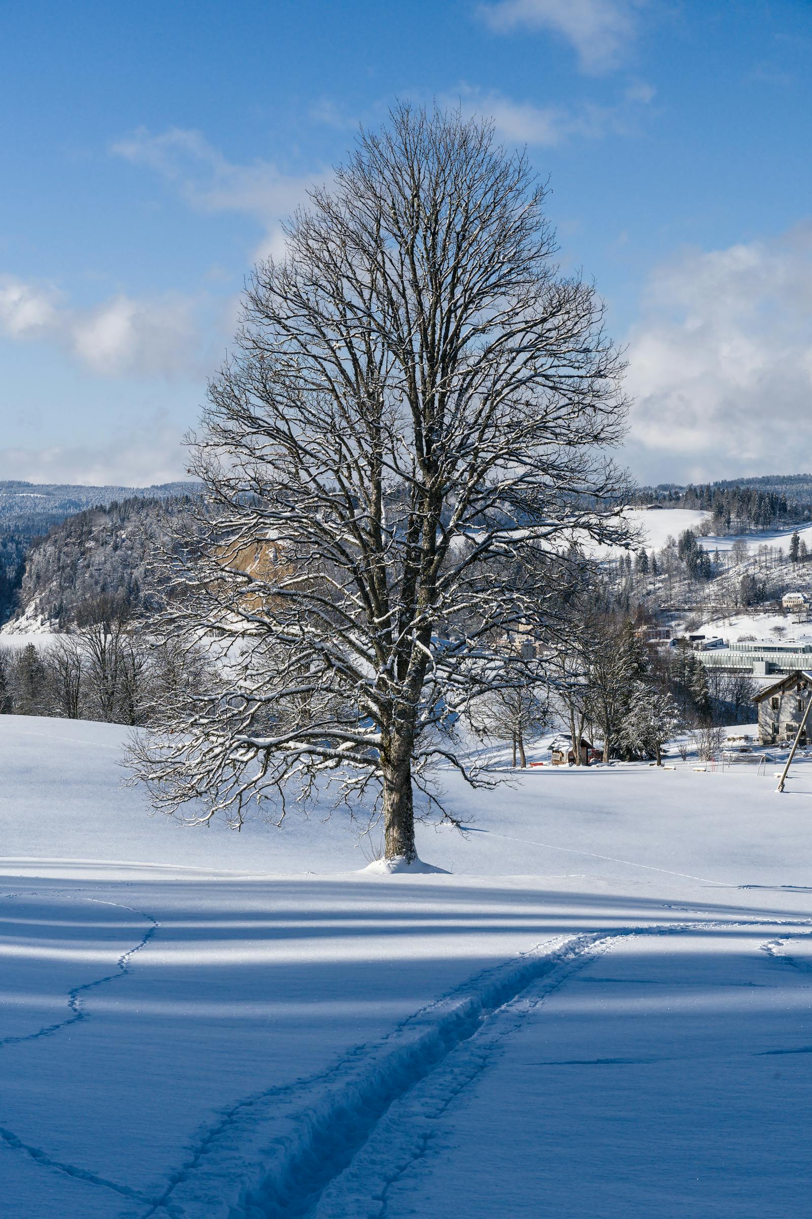 Snow Landscape Photos, Download The BEST Free Snow Landscape Stock ...