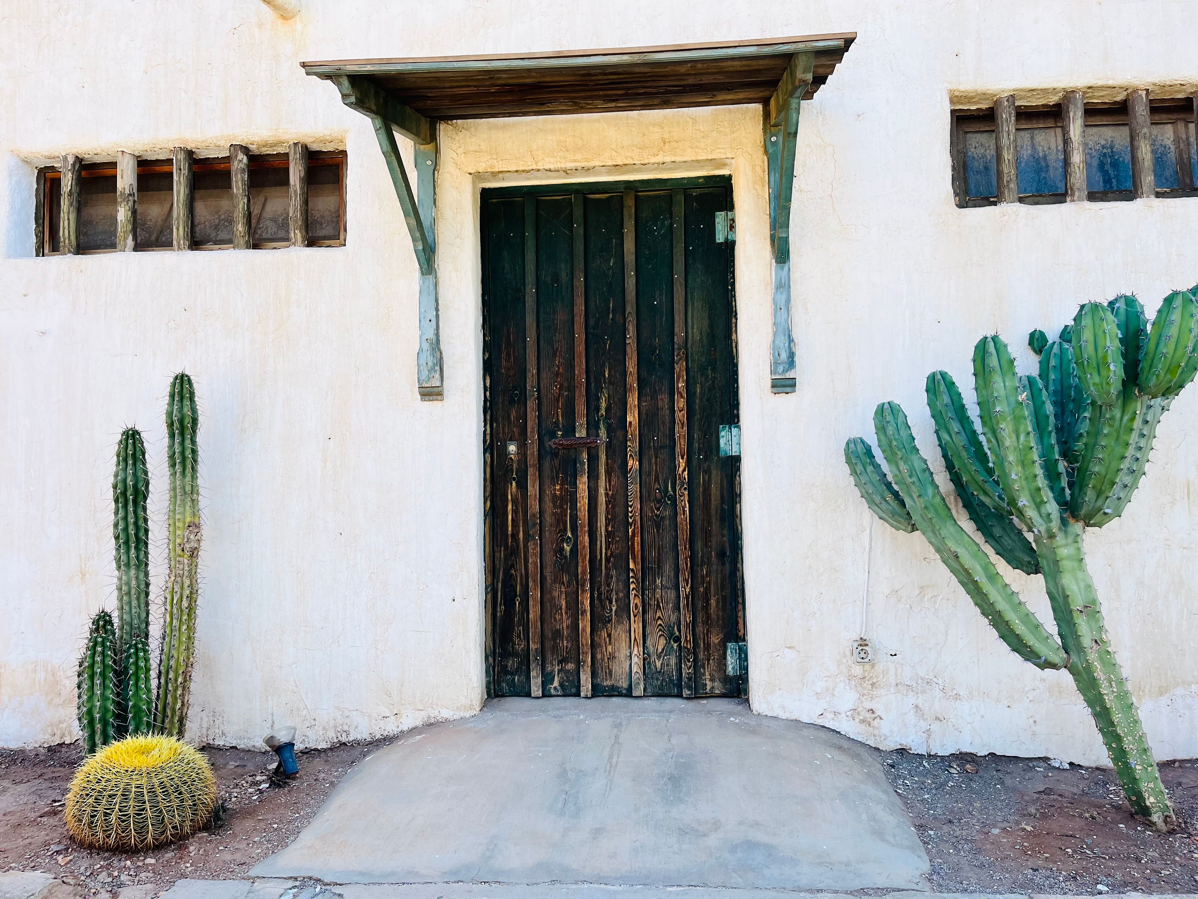 Rustic Wooden Door with Cacti in Desert Setting · Free Stock Photo
