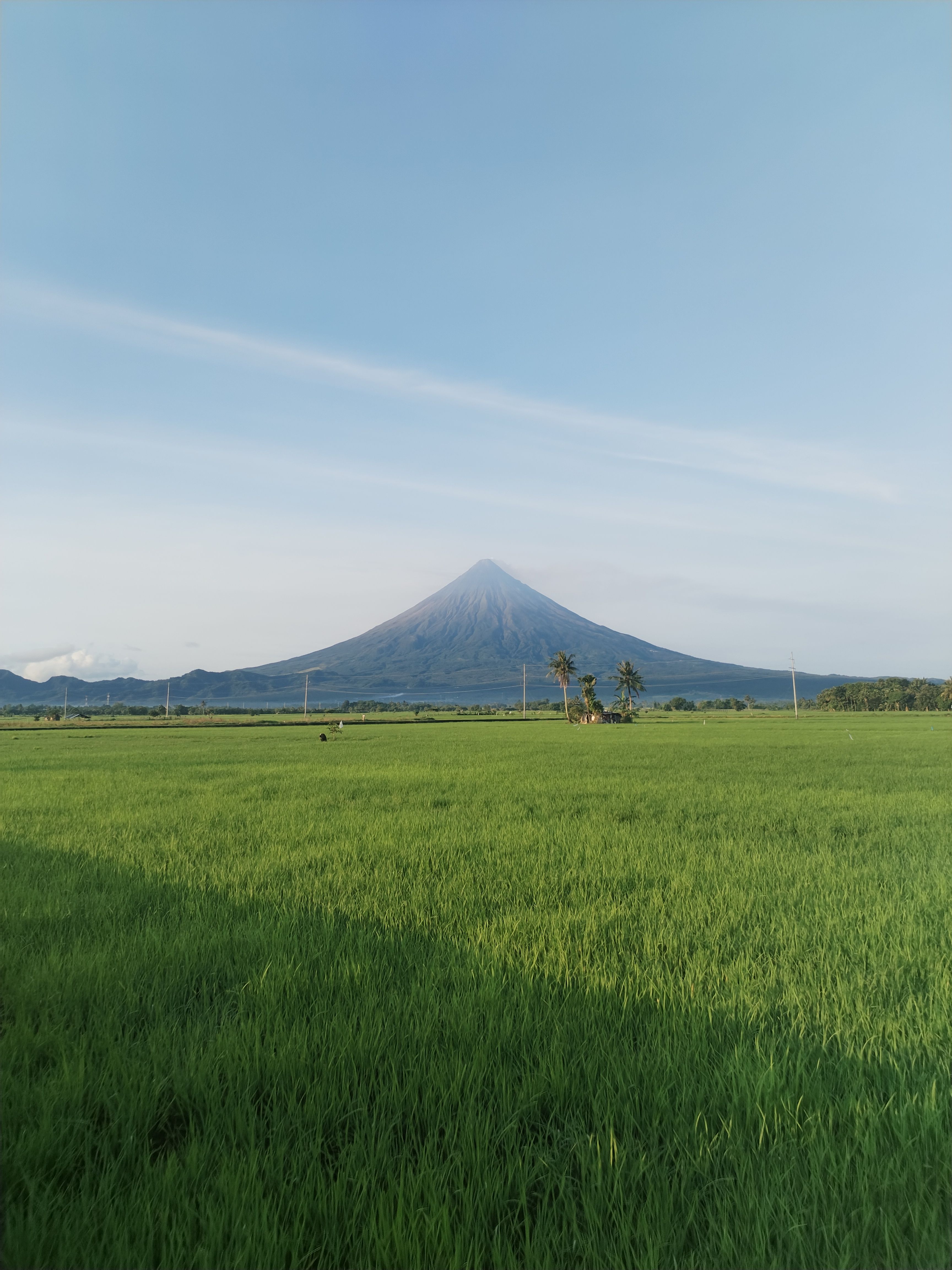 Majestic View of Mount Mayon in Lush Greenery · Free Stock Photo