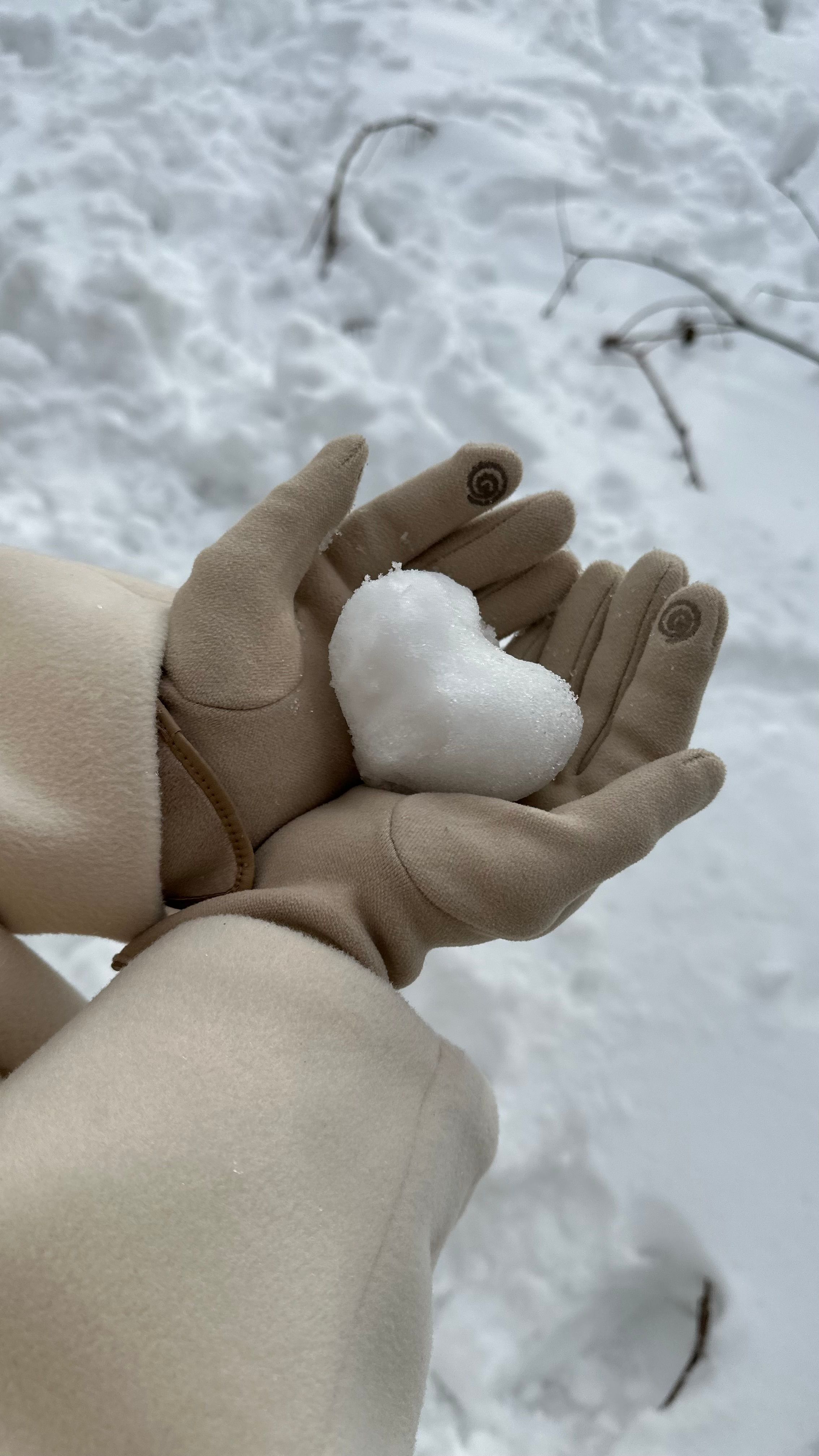 Gloved Hands Holding Heart-Shaped Snow in Winter · Free Stock Photo