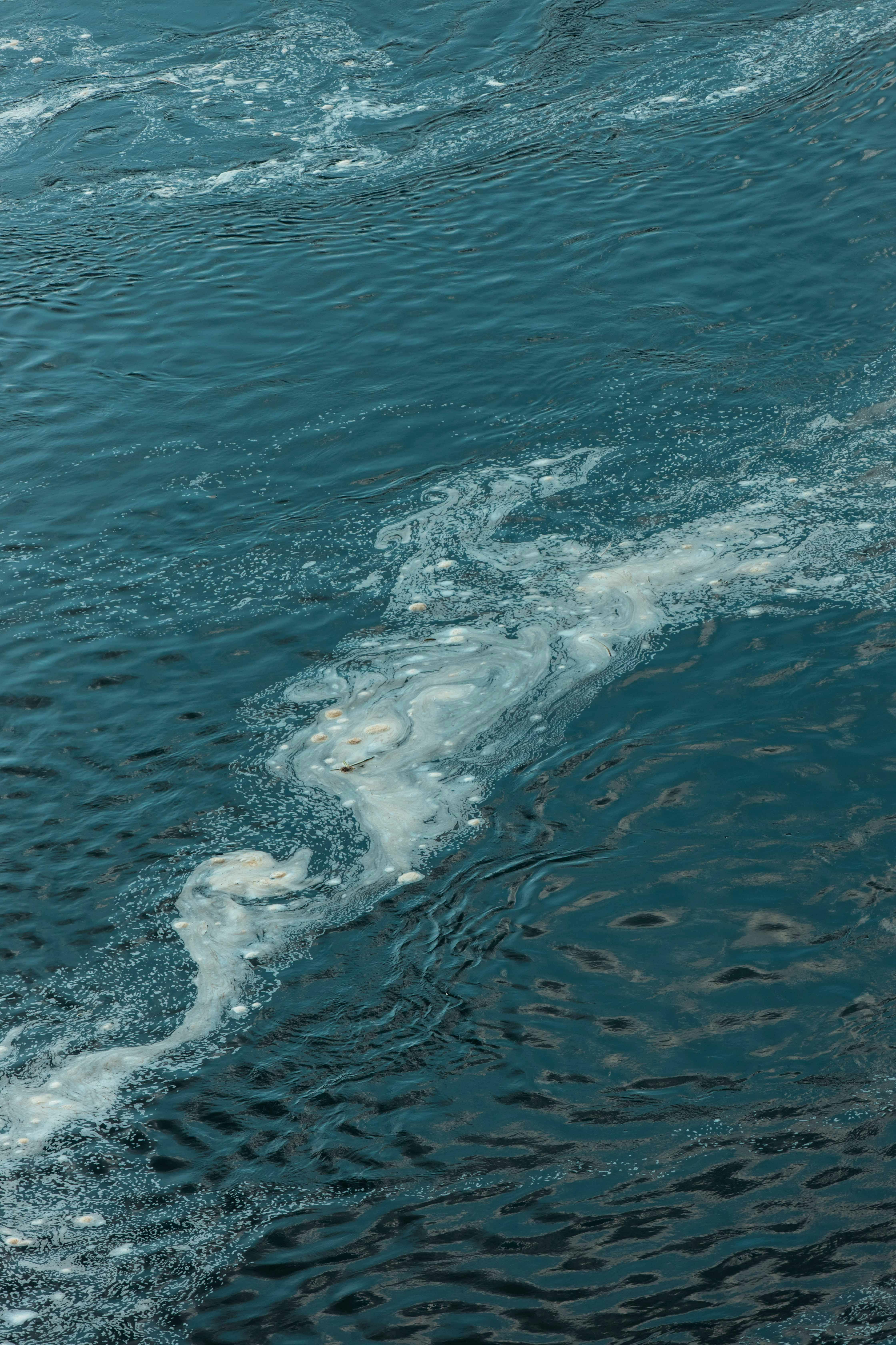 Aerial View of Polluted Water with Foam Patterns · Free Stock Photo