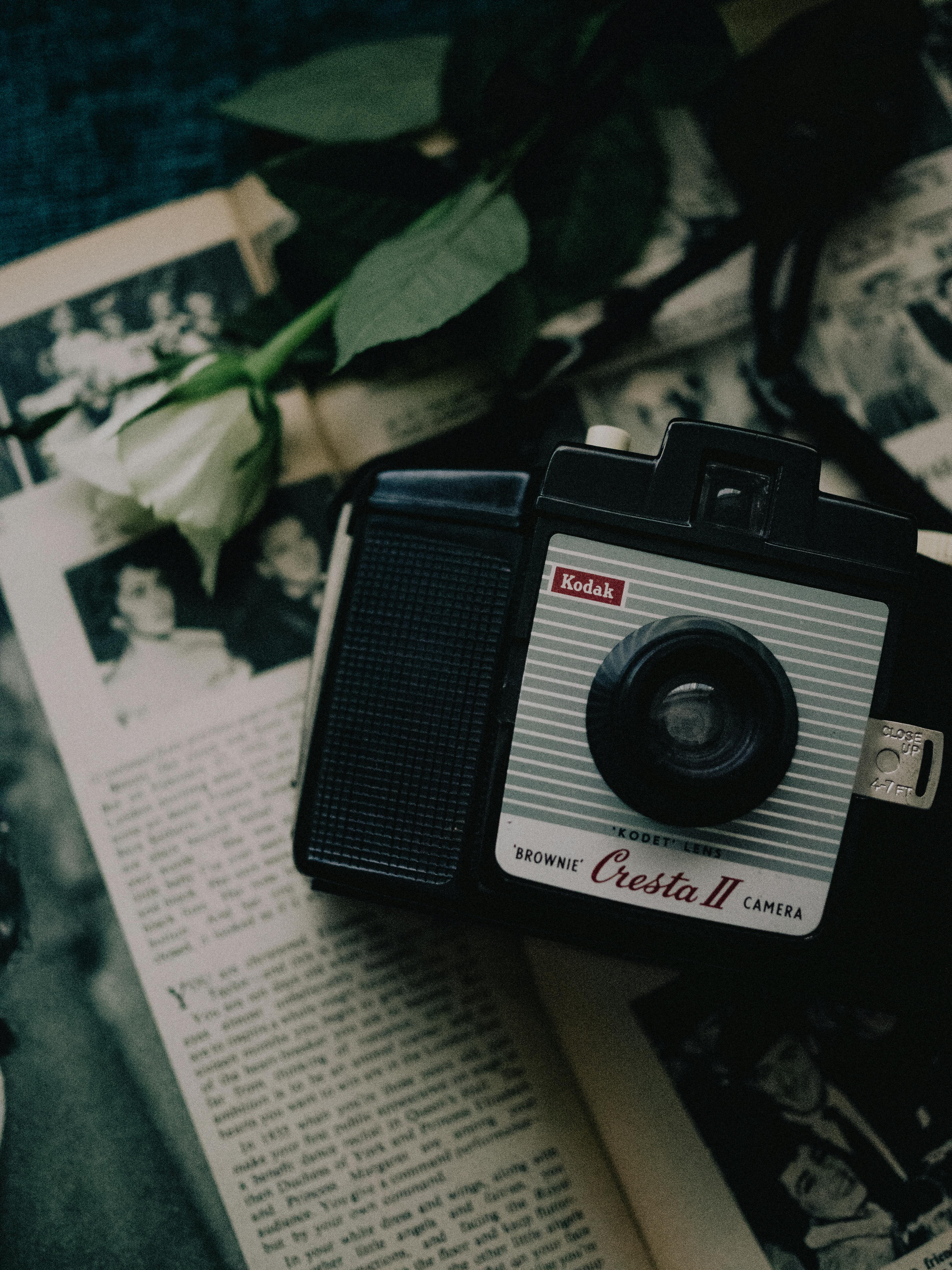 Vintage cameras · Free Stock Photo