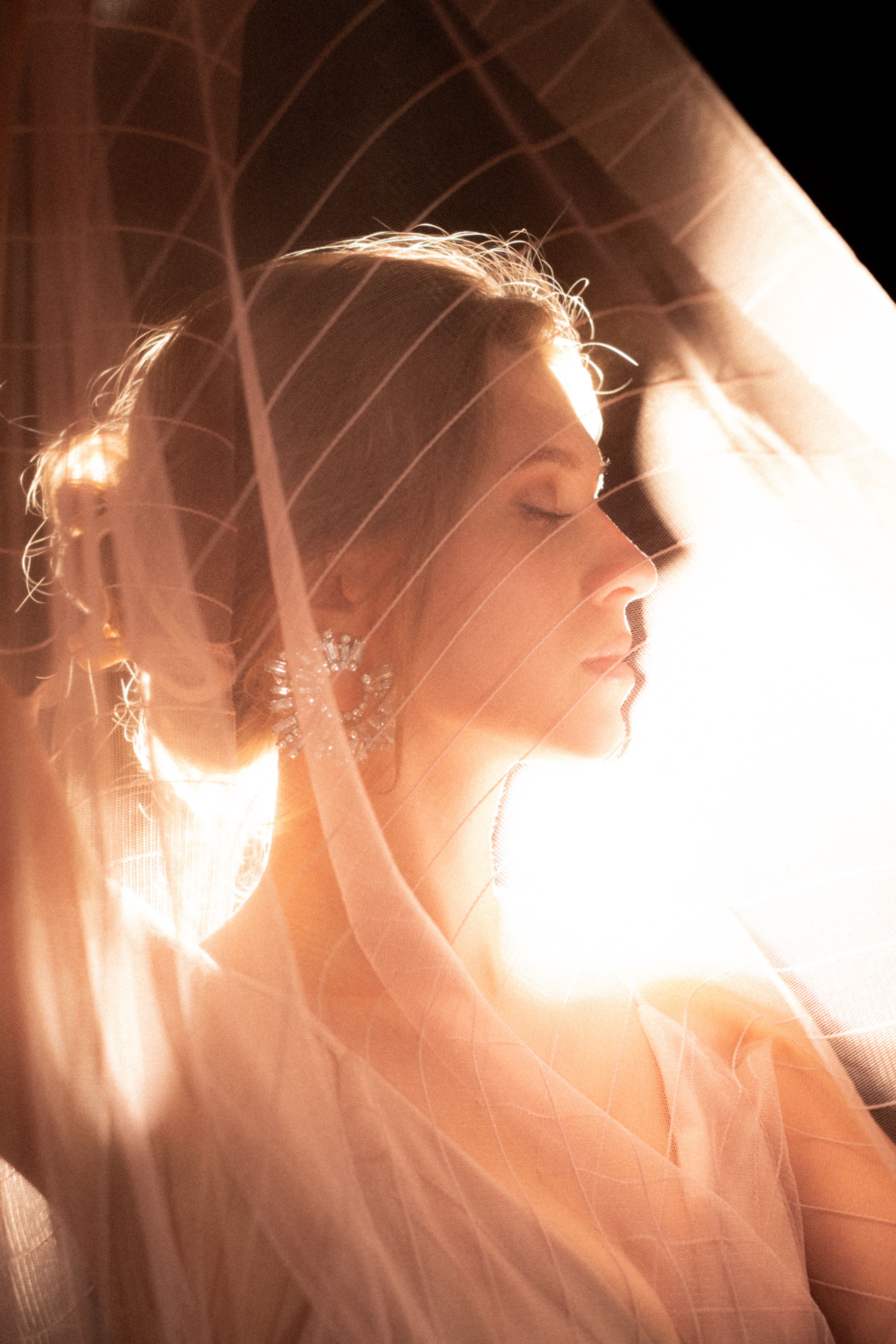 Elegant Bride in Sunlight with Veil · Free Stock Photo