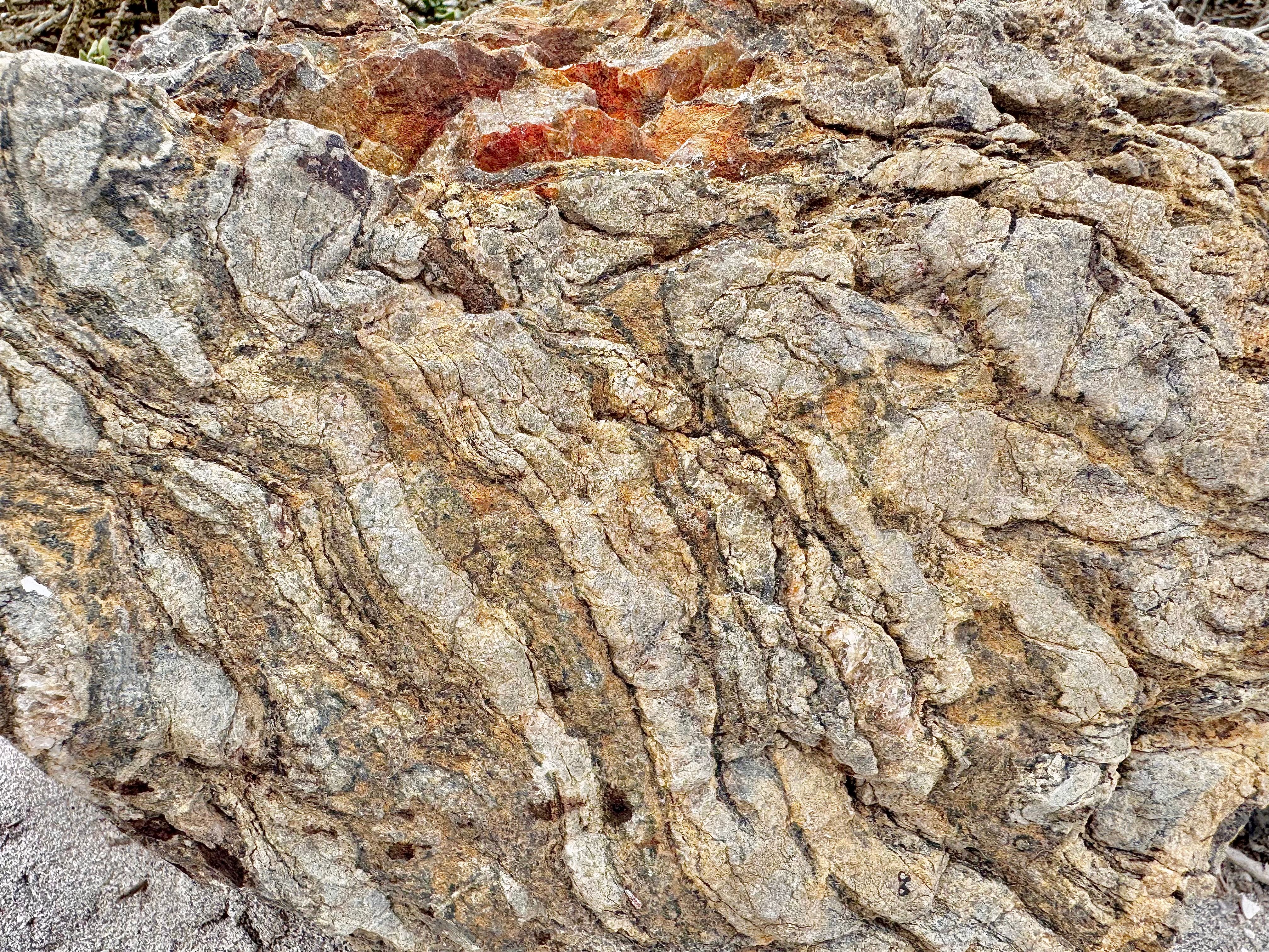 Closeup of textured metamorphic rock surface · Free Stock Photo