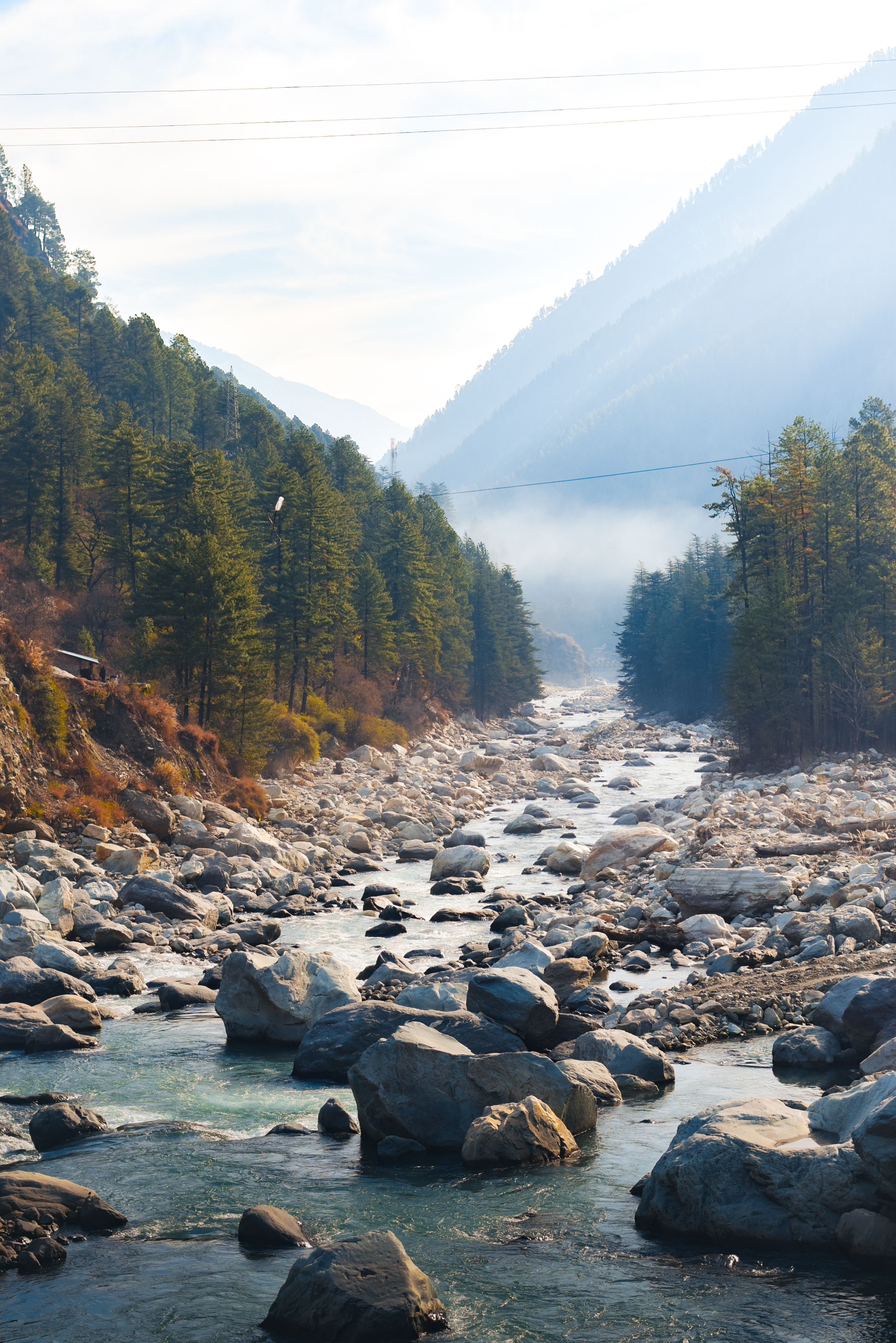 Serene Himalayan River Through Lush Valley · Free Stock Photo