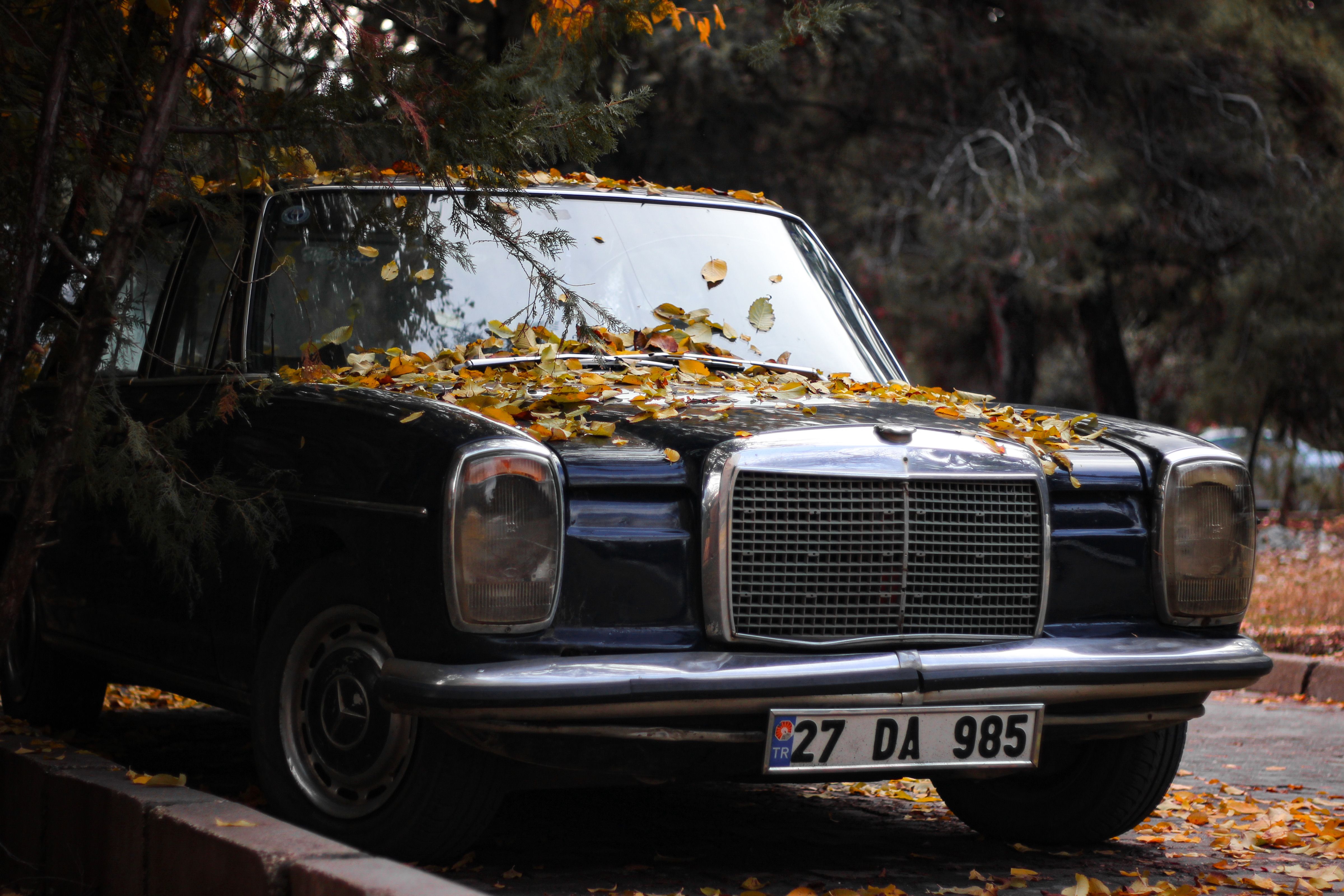 Classic Car Covered with Autumn Leaves in Forest · Free Stock Photo