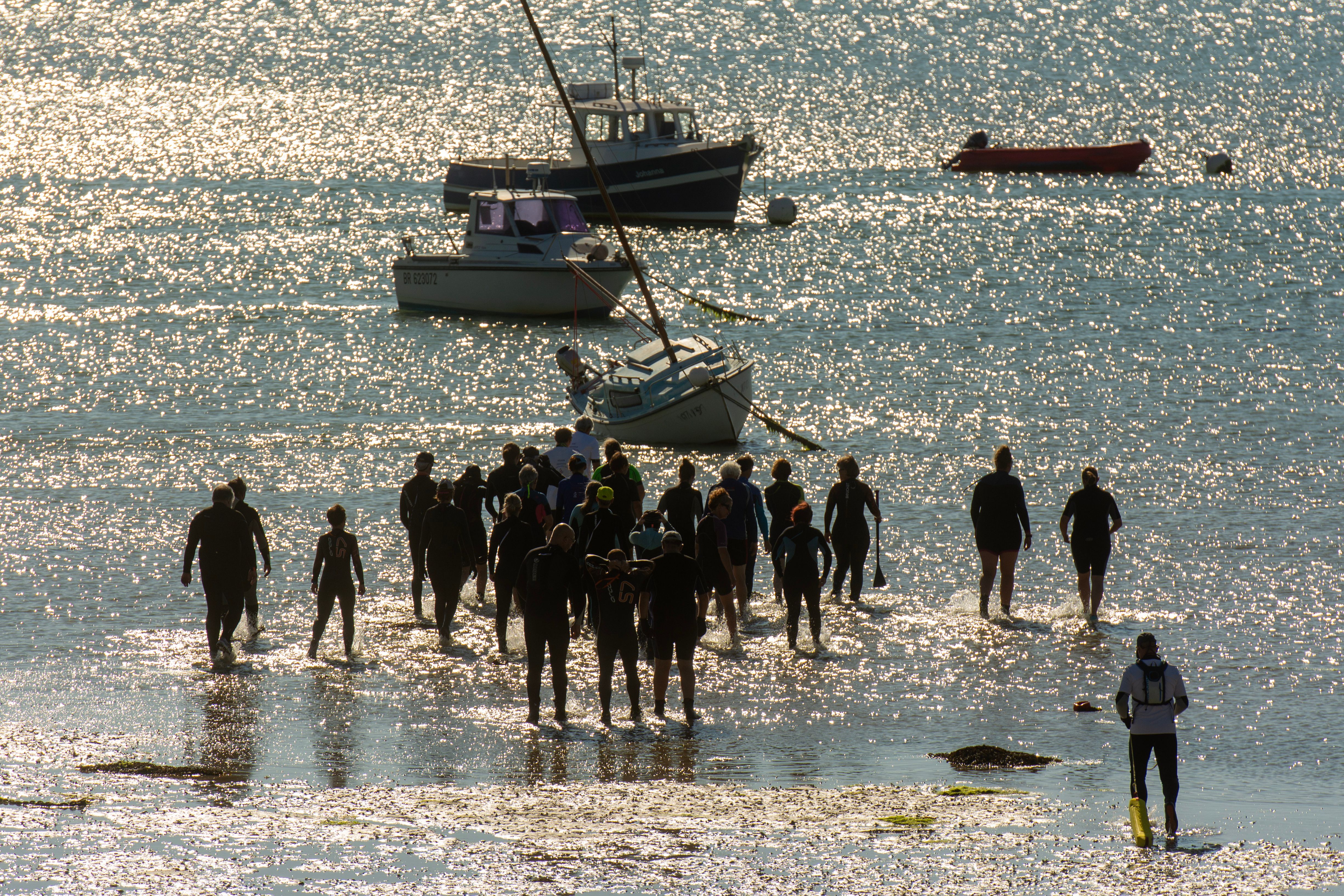 Silhouetted Group Walking Toward Boats at Low Tide · Free Stock Photo