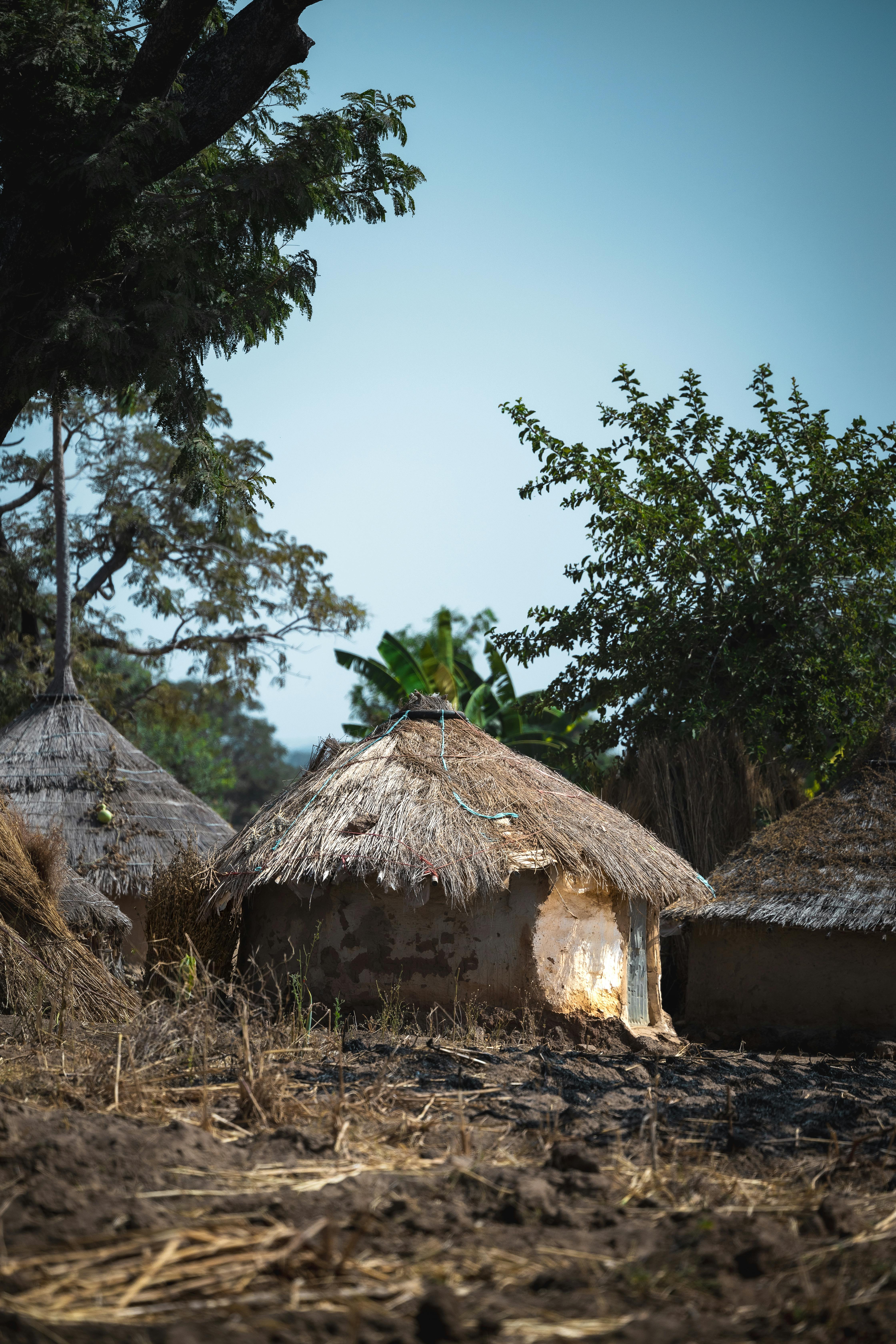 Rustic Huts in Rural Karshi, Nigeria · Free Stock Photo