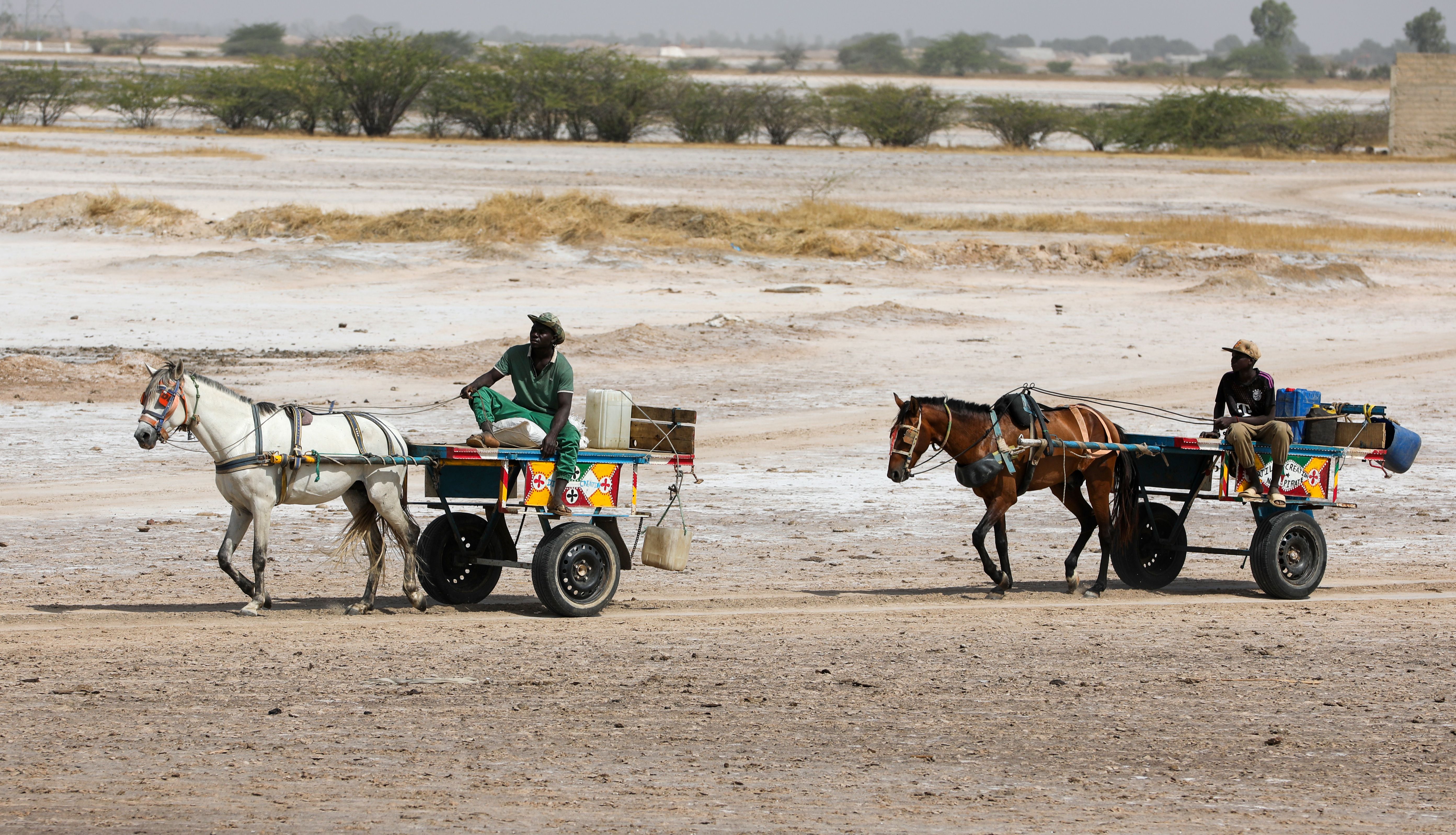Traditional Horse-Drawn Carts in Arid Landscape · Free Stock Photo