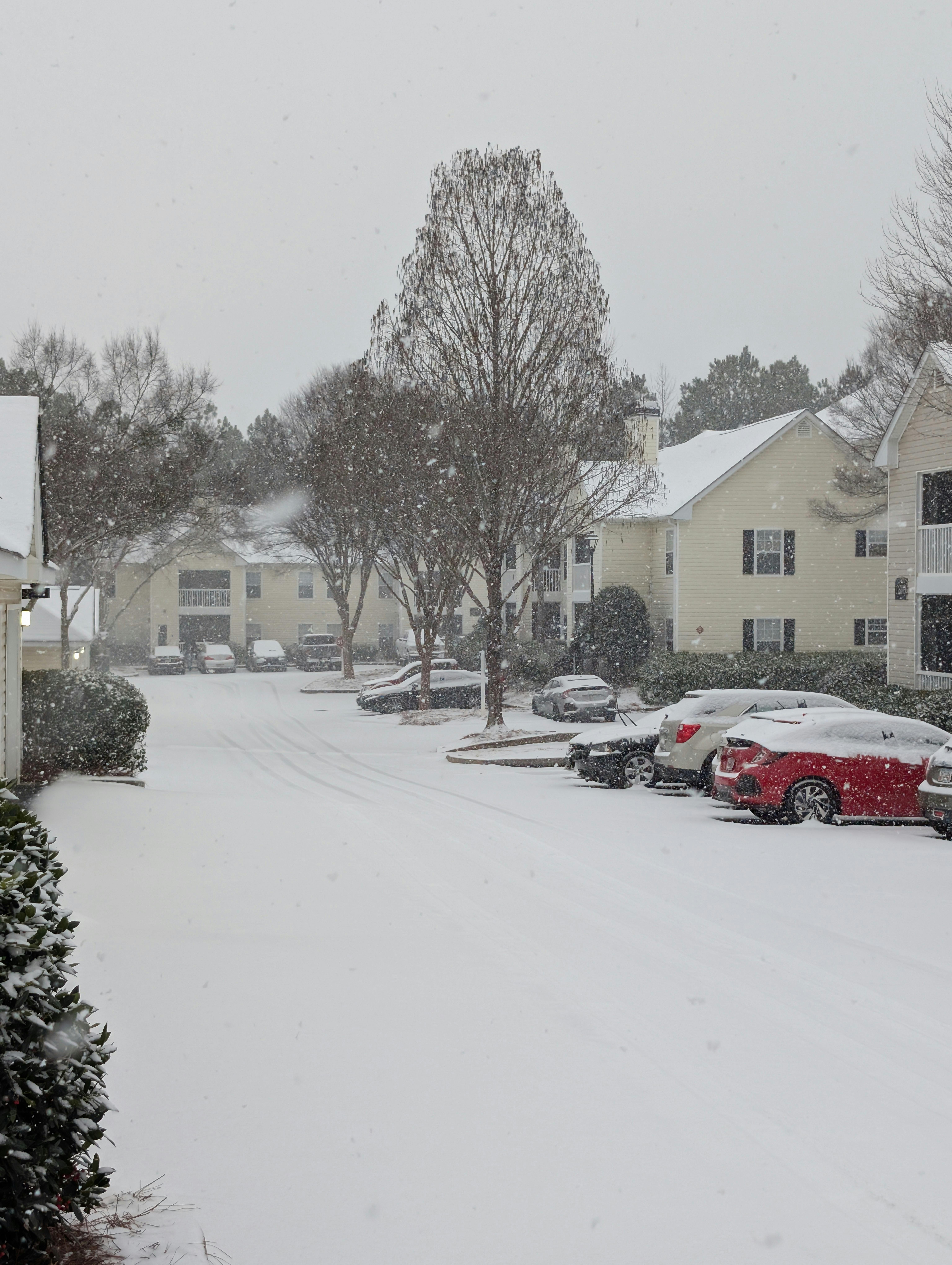 Simpson Homes Photos, Download The BEST Free Simpson Homes Stock Photos ...