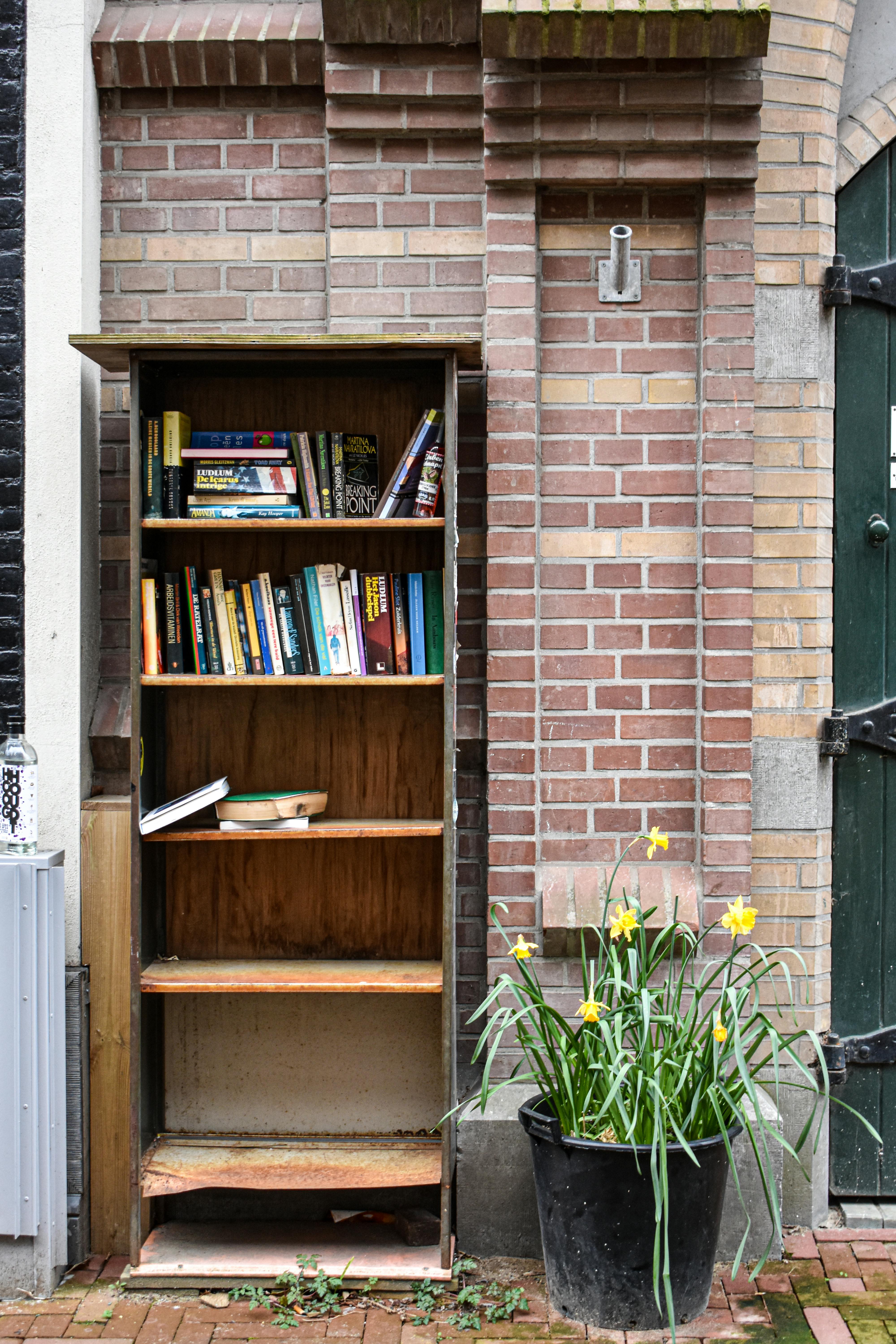 Outdoor Bookshelf on Amsterdam Street Corner · Free Stock Photo