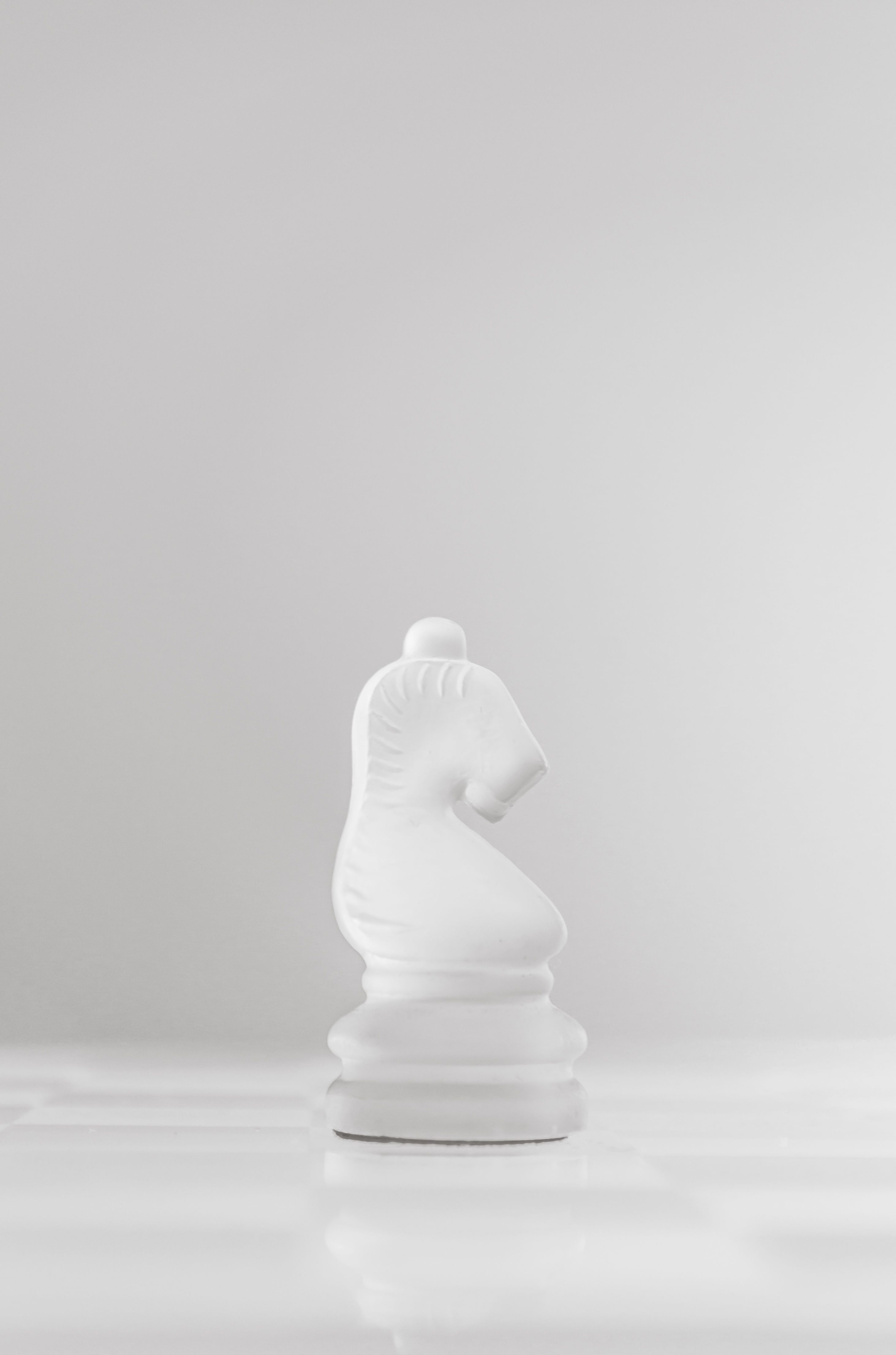 Elegant White Chess Knight on Minimalist Board · Free Stock Photo