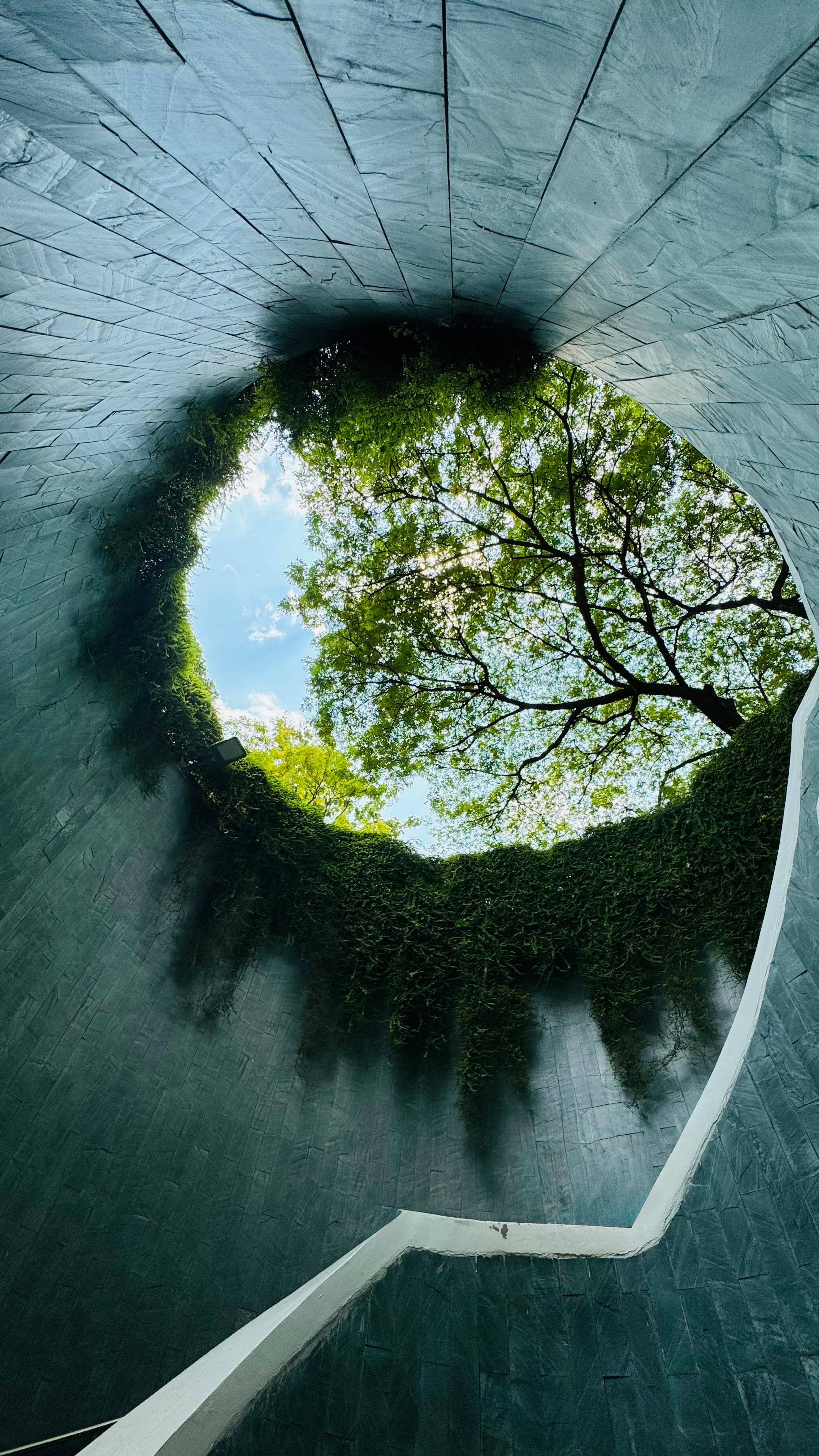 Unique Circular Sky View at Fort Canning Park · Free Stock Photo