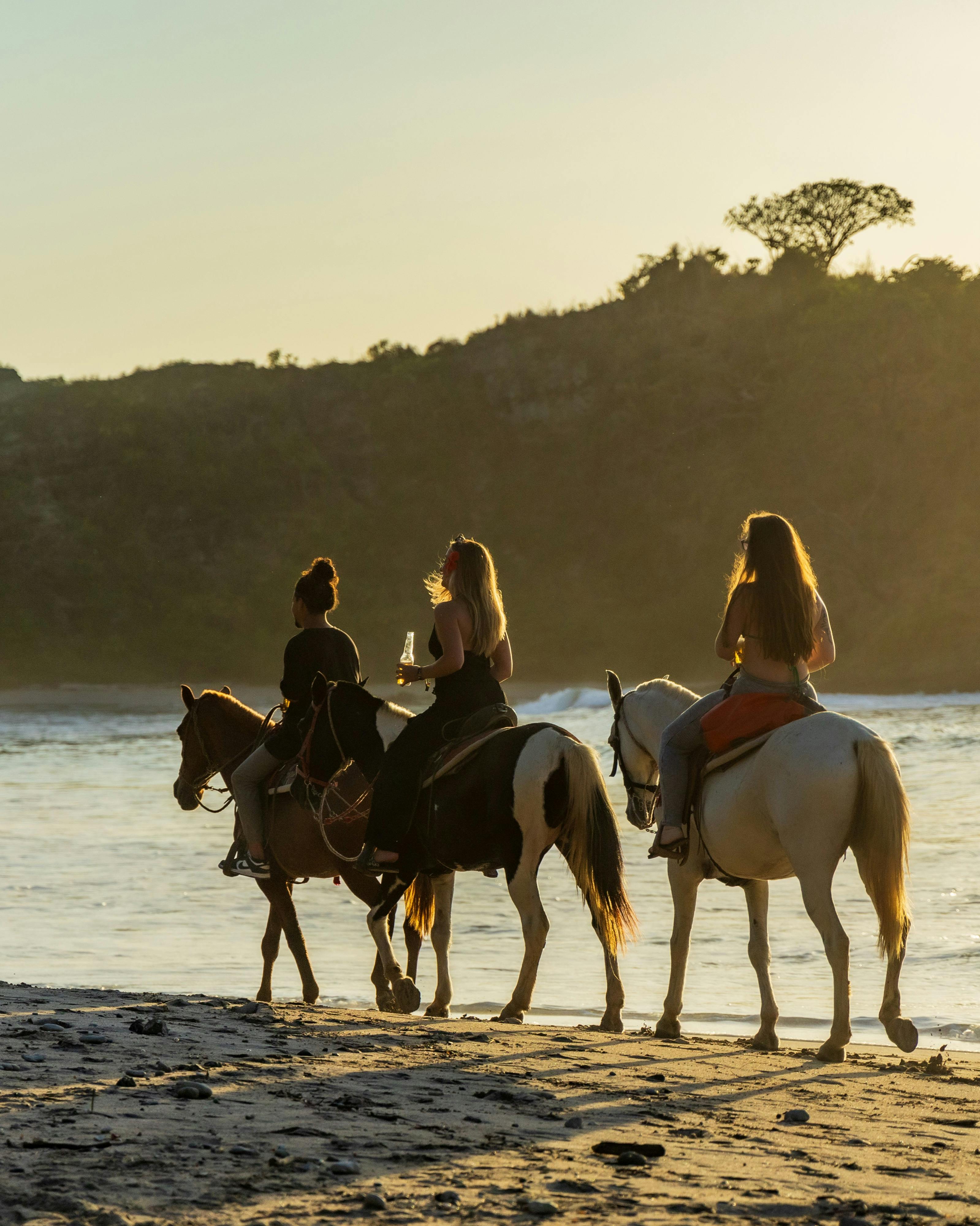 Sunset Horseback Riding on Scenic Beach · Free Stock Photo