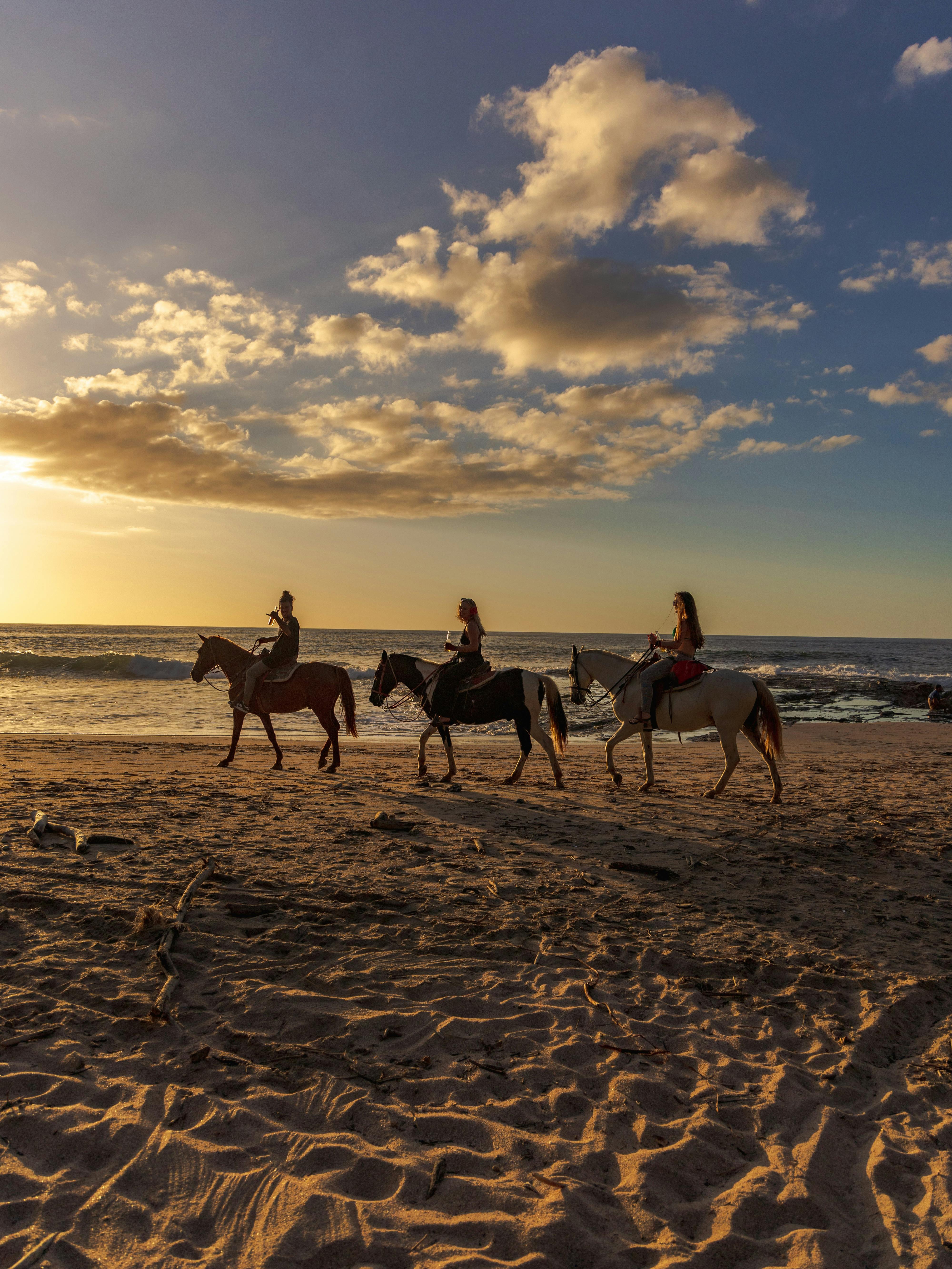 Sunset Beach Horseback Riders Silhouetted · Free Stock Photo