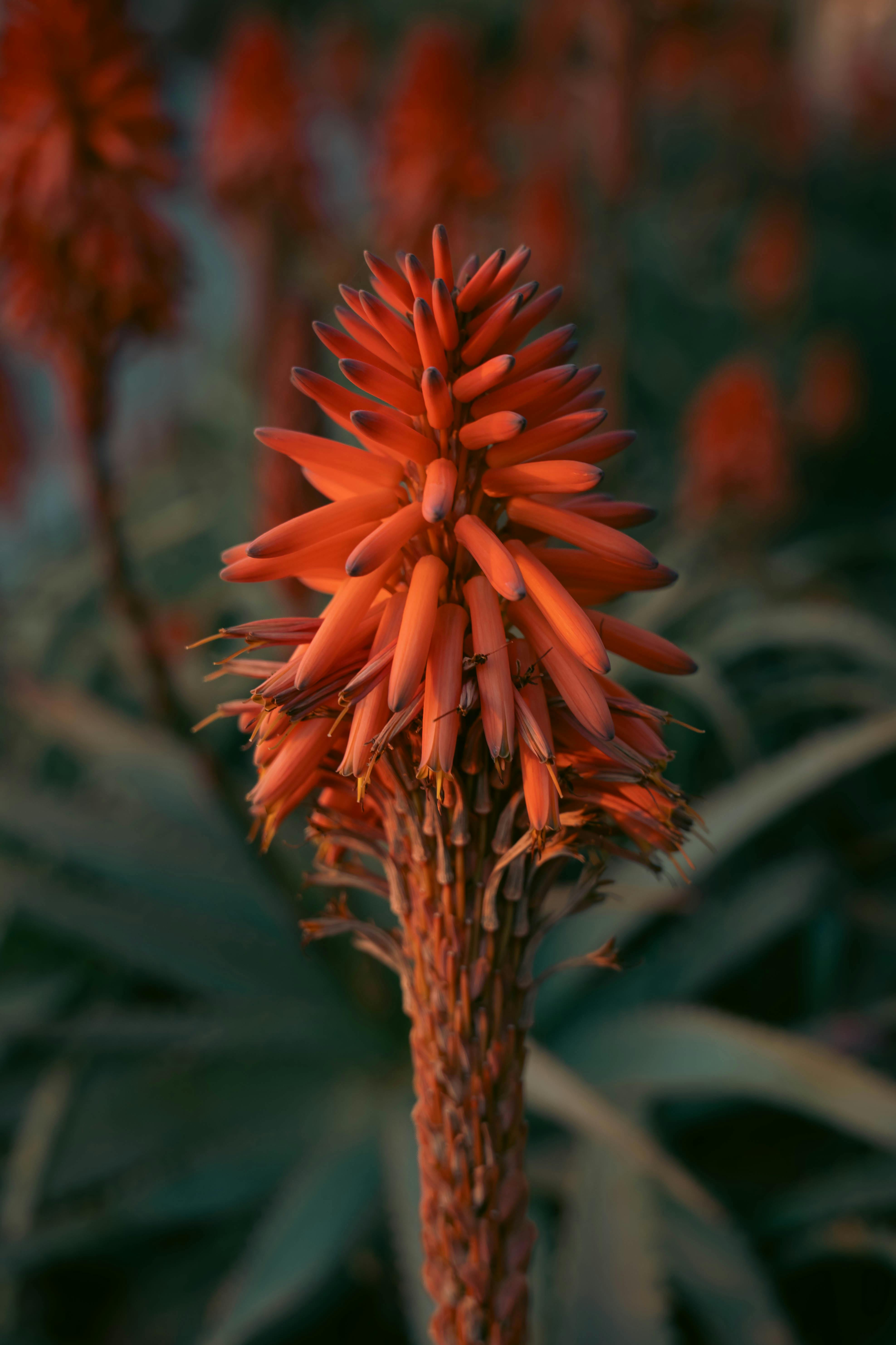 Pinoy+Titi+Pic Photos, Download The BEST Free Pinoy+Titi+Pic Stock ...