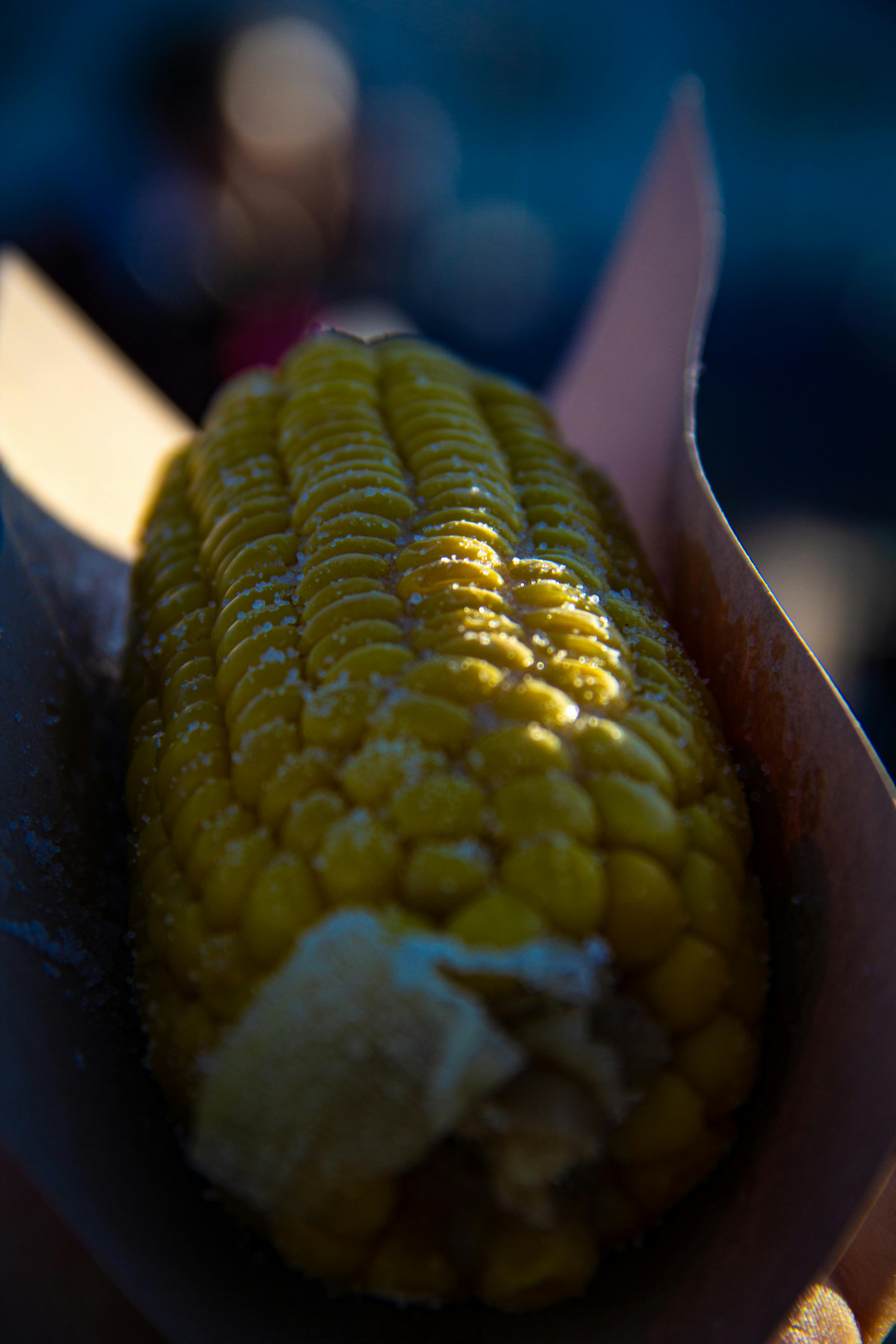 Close-Up of Salted Grilled Corn Cob · Free Stock Photo