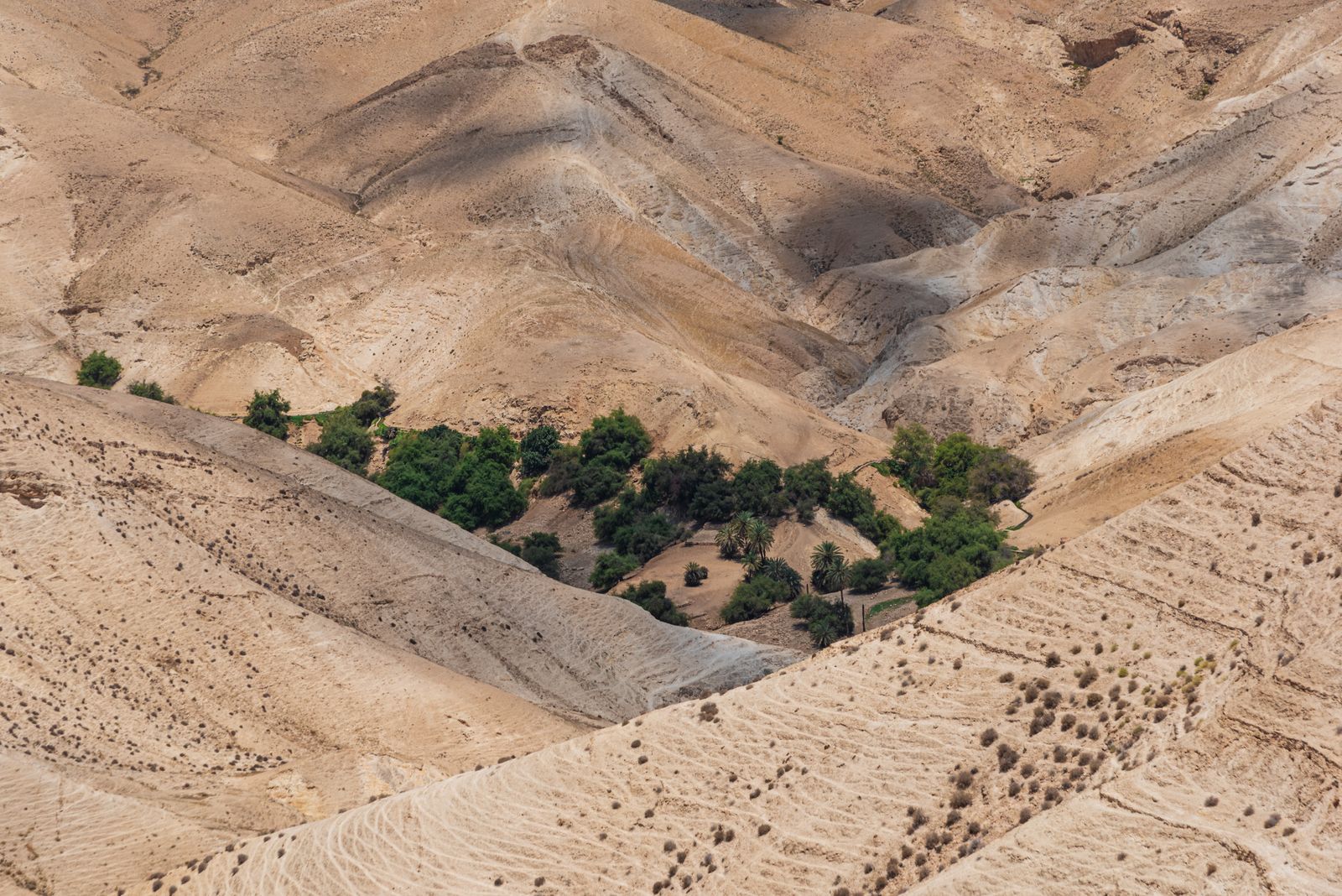 Israel Landscape Photos, Download The BEST Free Israel Landscape Stock ...