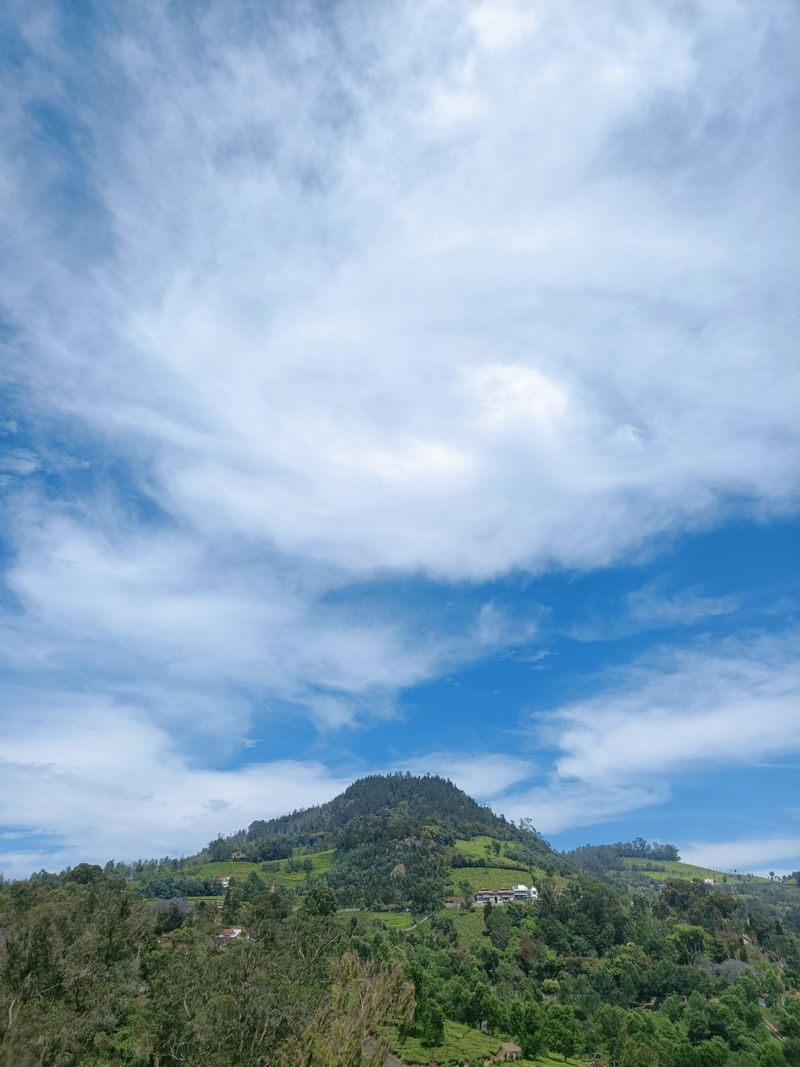 Hill Station Photos, Download The BEST Free Hill Station Stock Photos ...