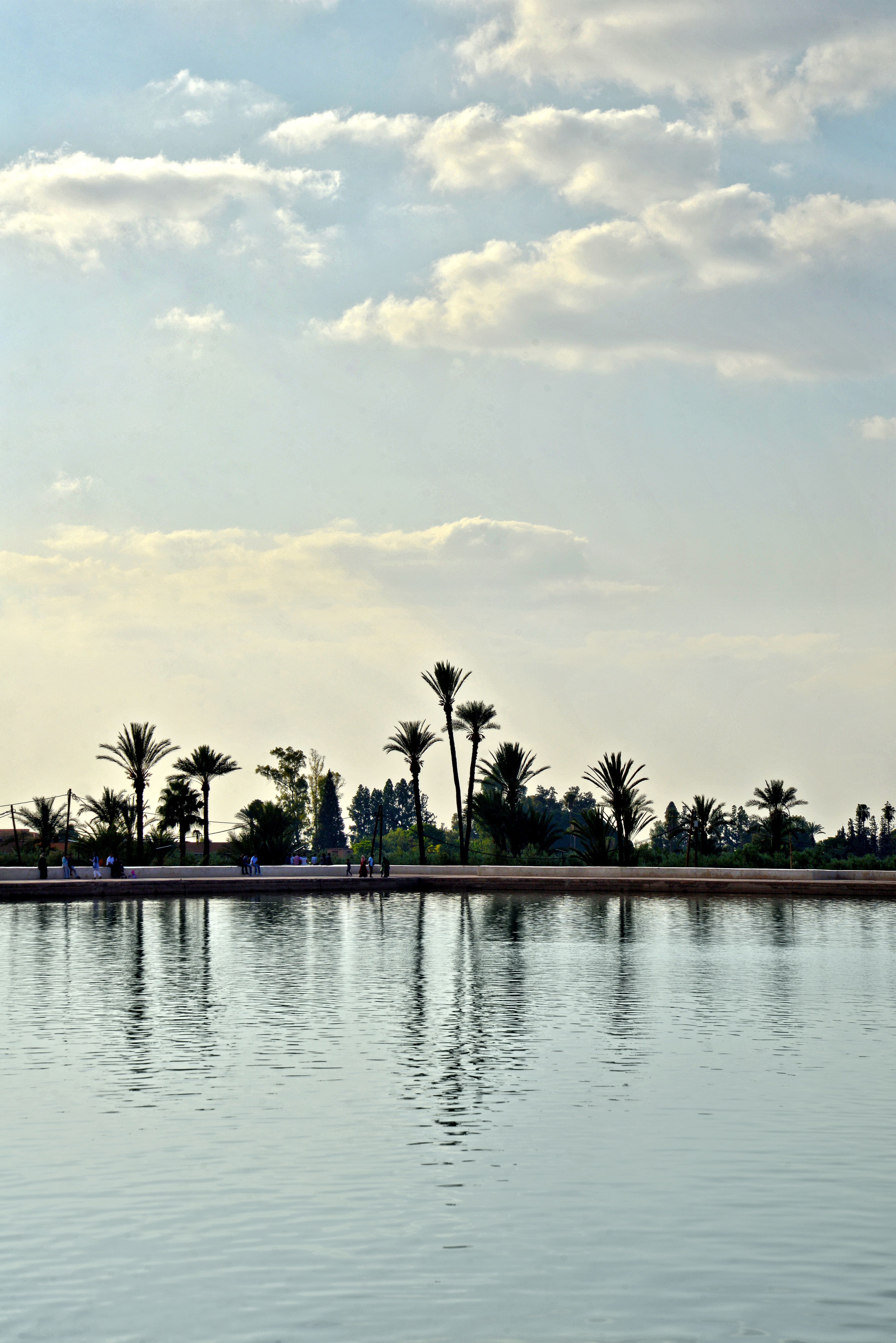 Peaceful Palm-Lined Lake in Marrakech, Morocco · Free Stock Photo