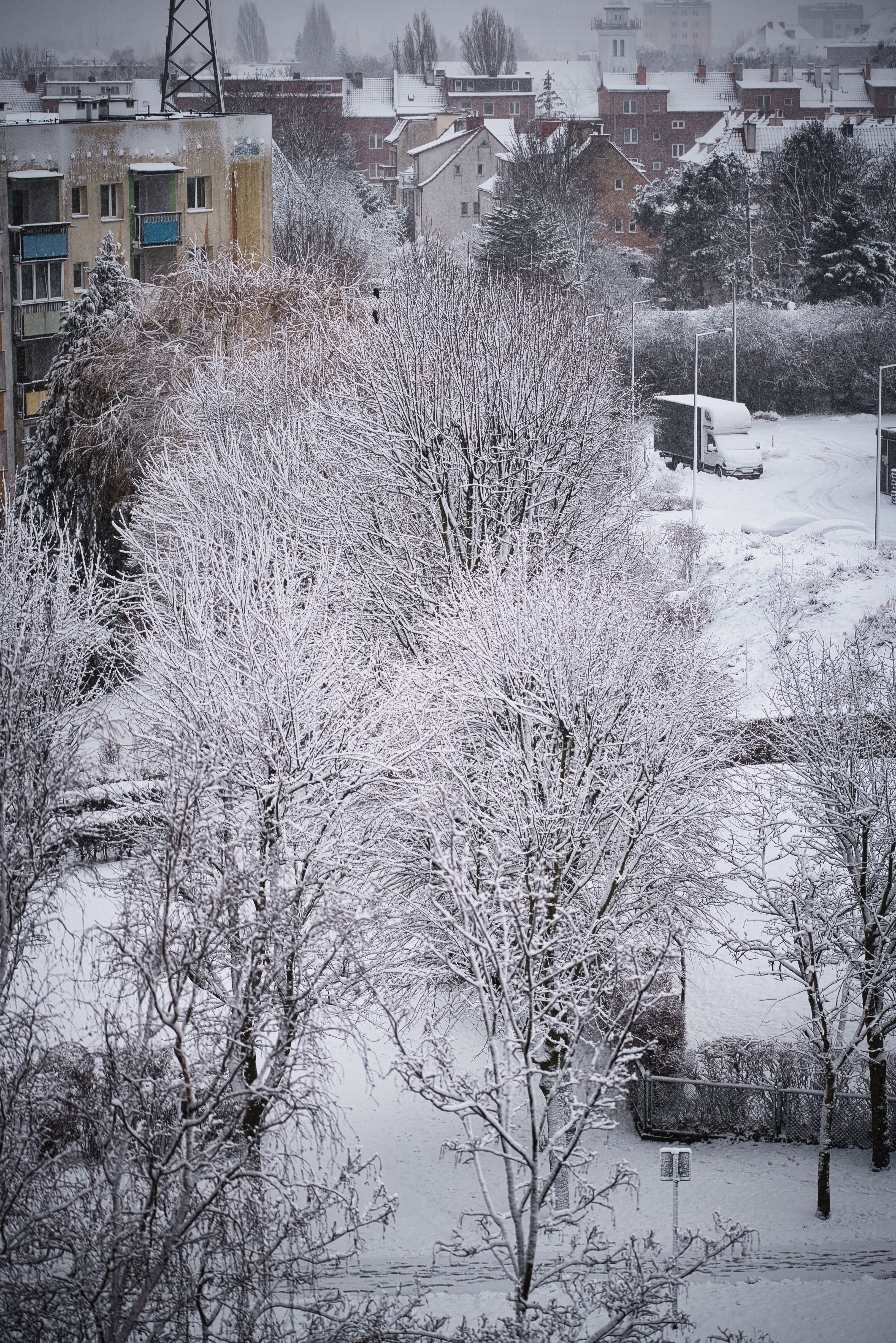 Aerial view of a snow-covered urban landscape · Free Stock Photo