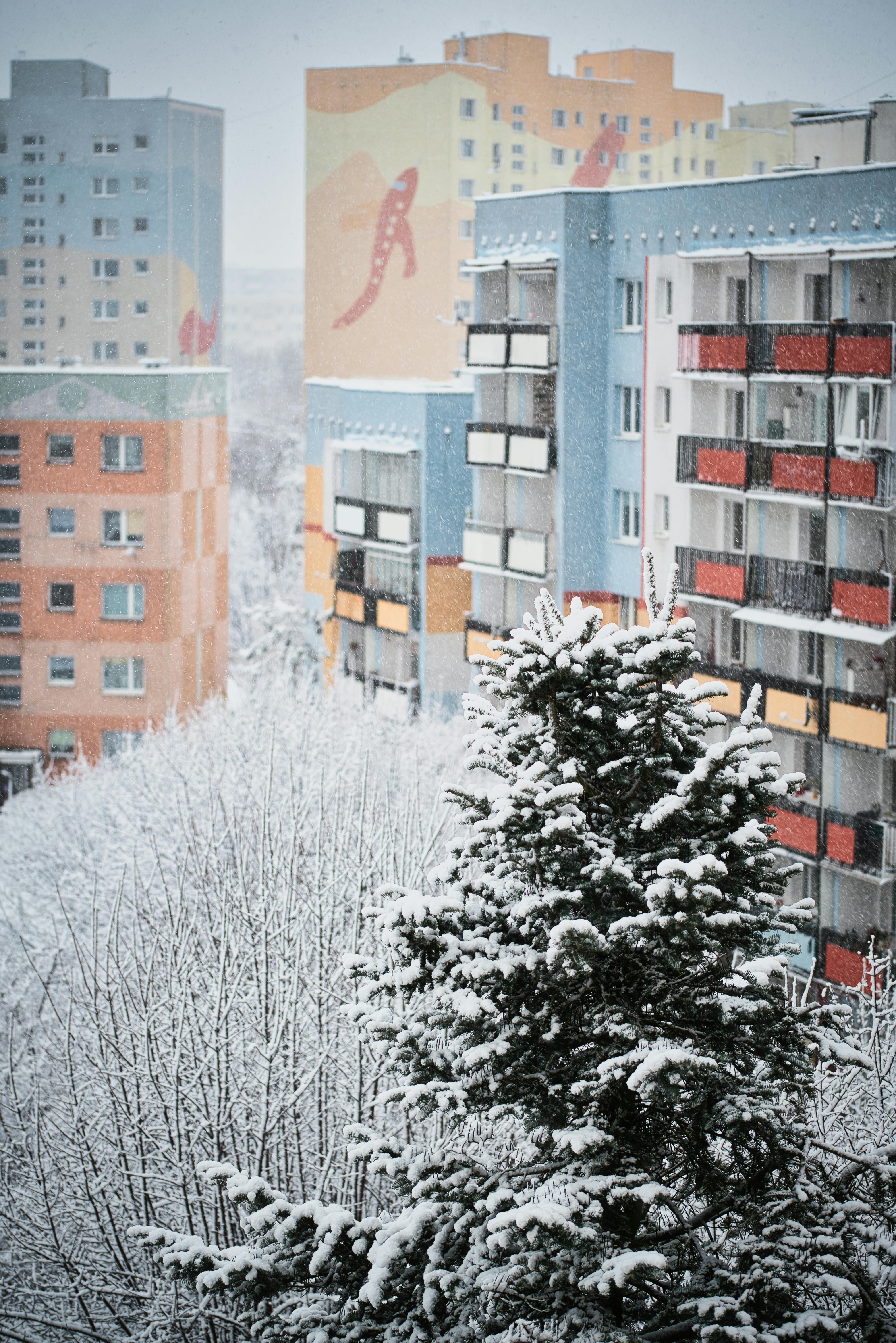 Snowy Urban Scene with Colorful Apartment Buildings · Free Stock Photo