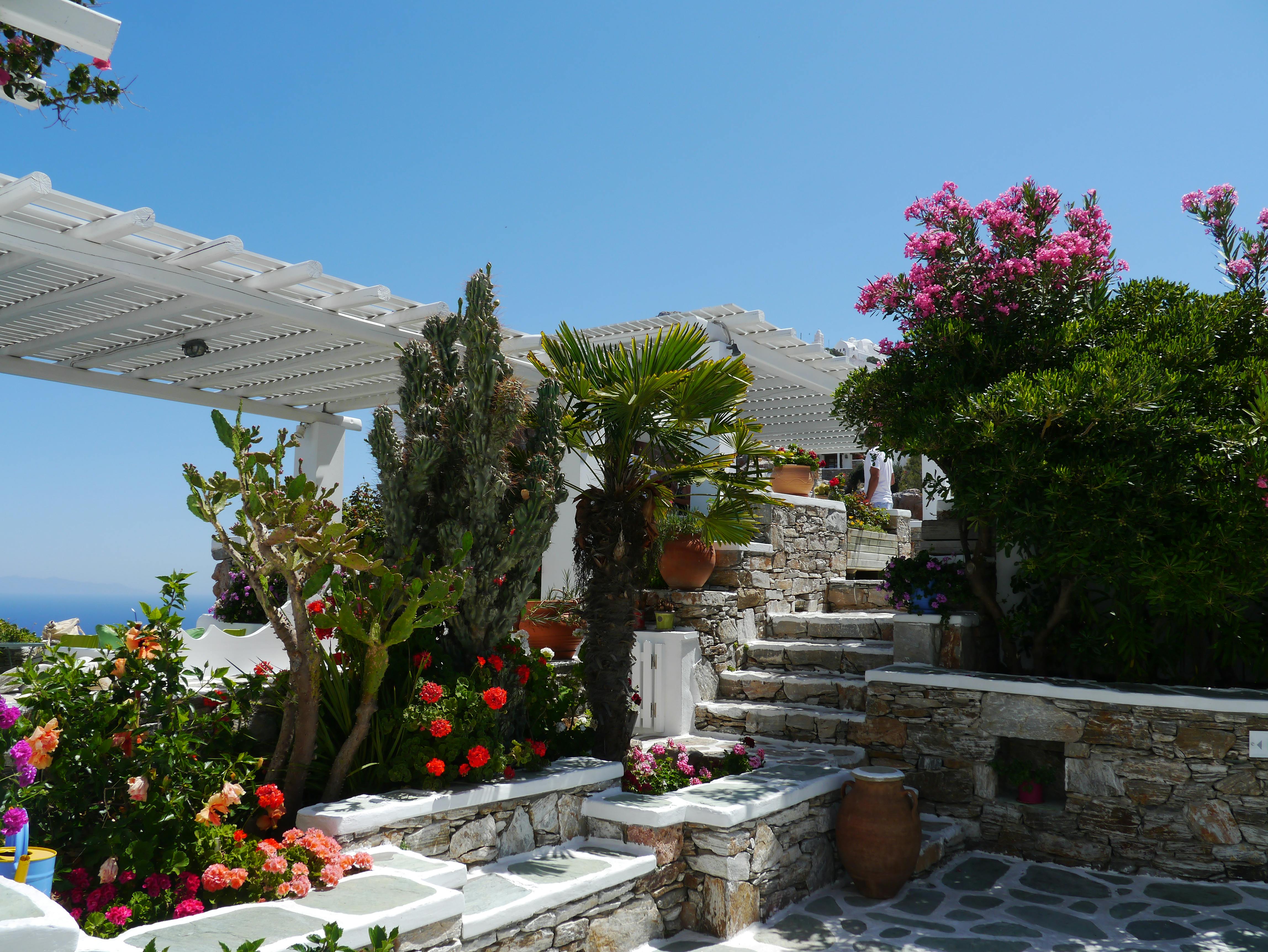 Beautiful Mediterranean Garden with Stone Pathway · Free Stock Photo