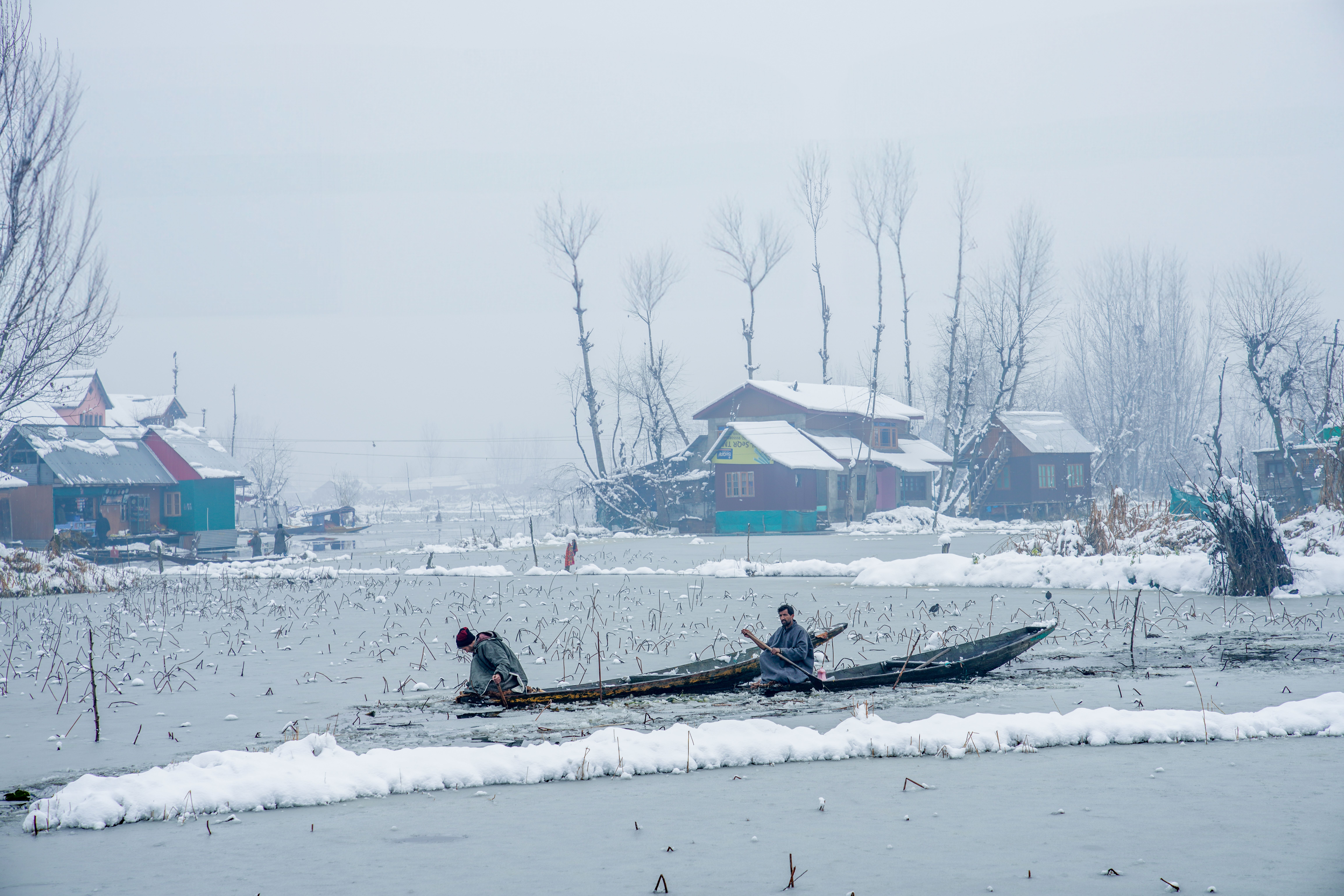 Serene Winter Scene in Kashmir's Frozen Landscape · Free Stock Photo