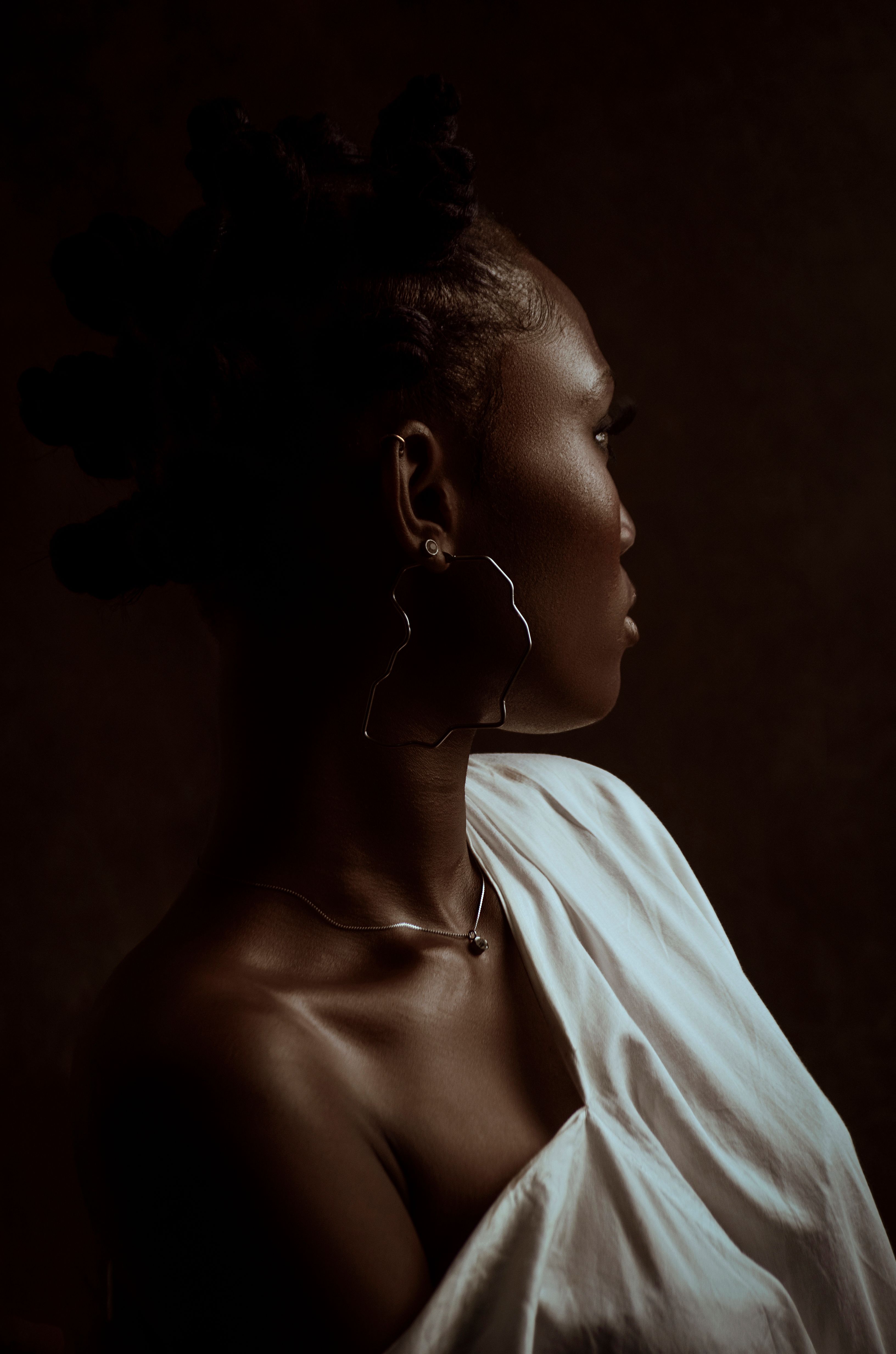 Artistic Portrait of Woman in Dramatic Light · Free Stock Photo