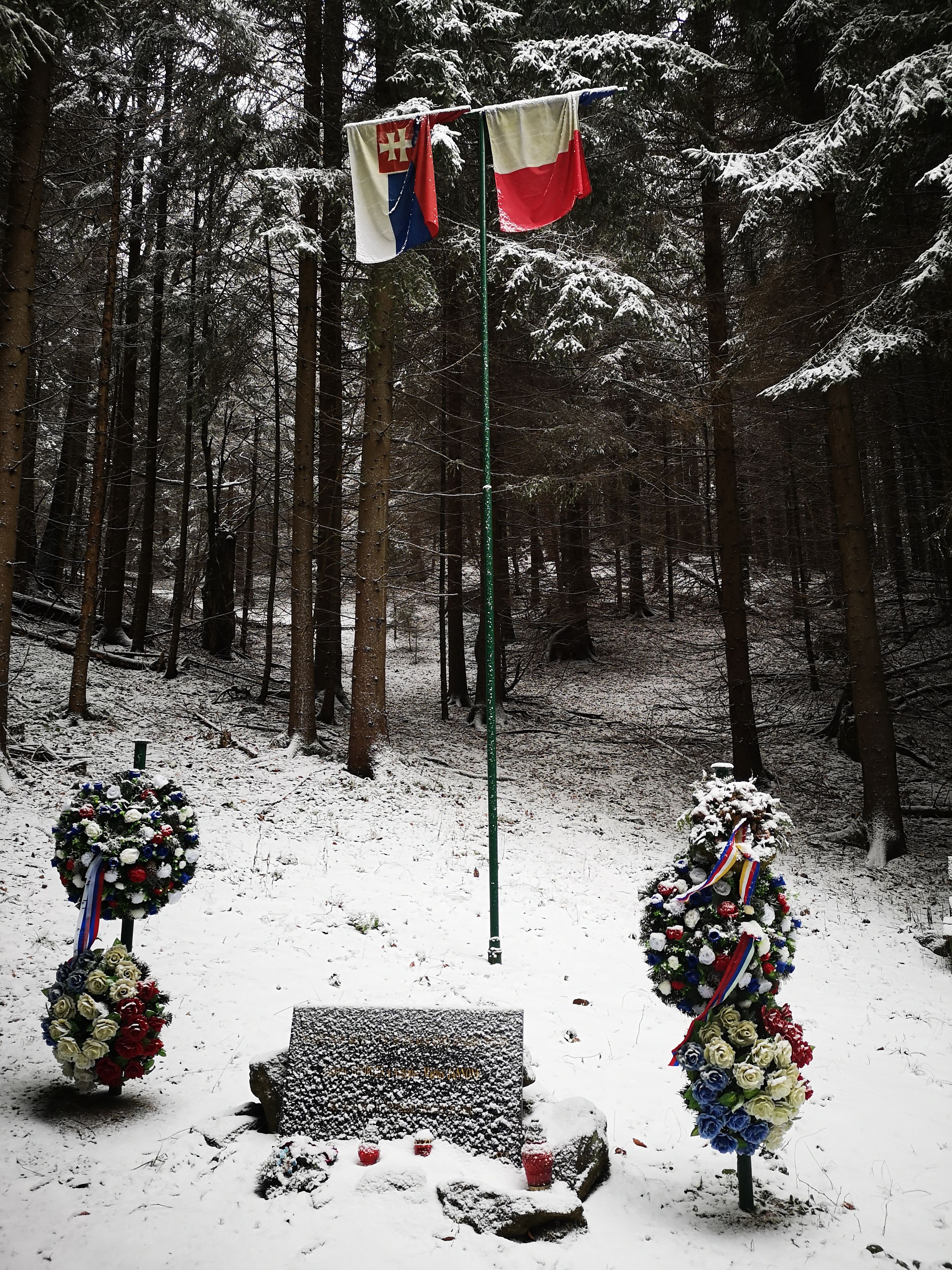 Snow-covered forest memorial with national flags · Free Stock Photo