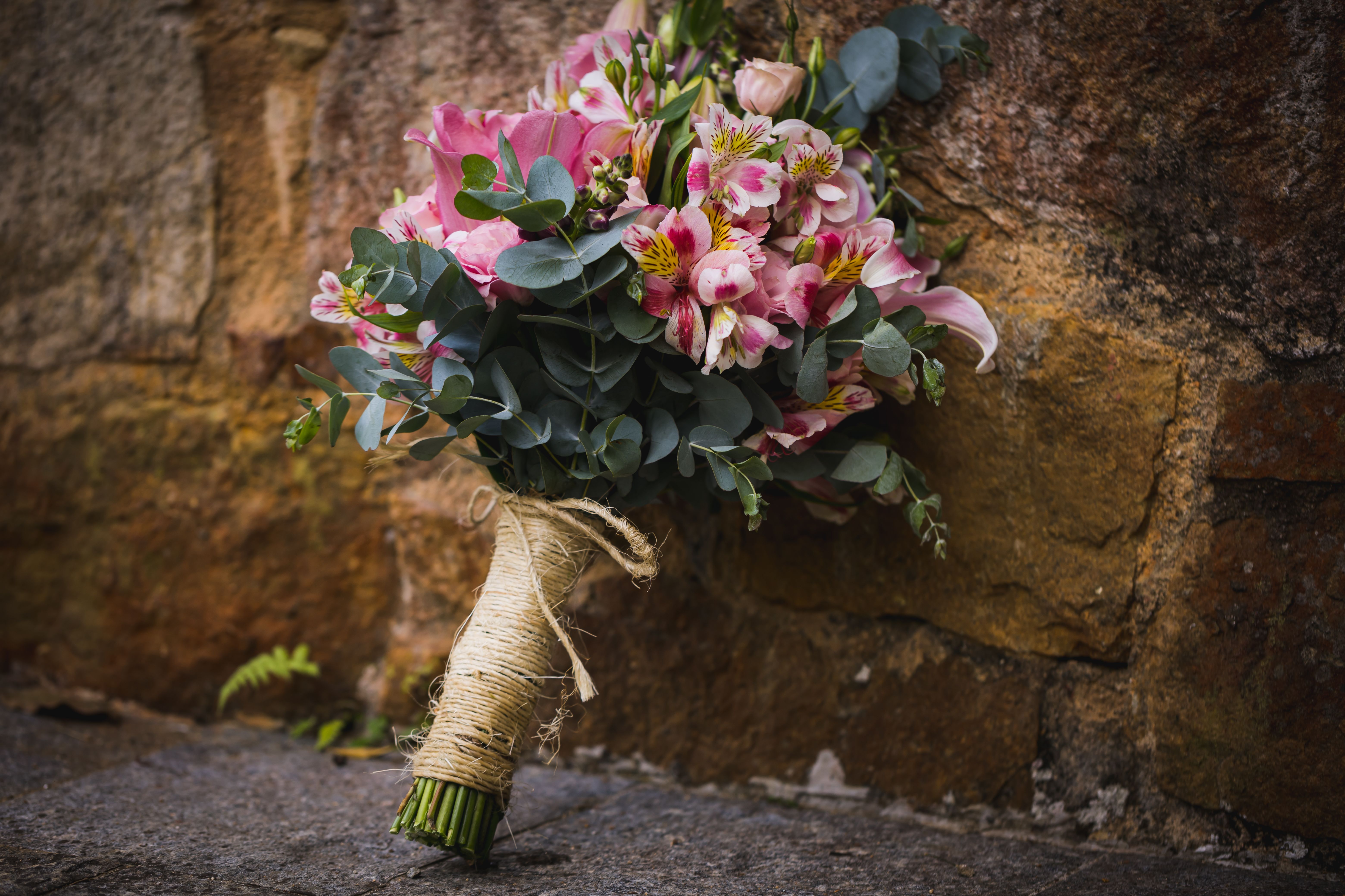 Elegant Bouquet of Pink Flowers Against Rustic Wall · Free Stock Photo
