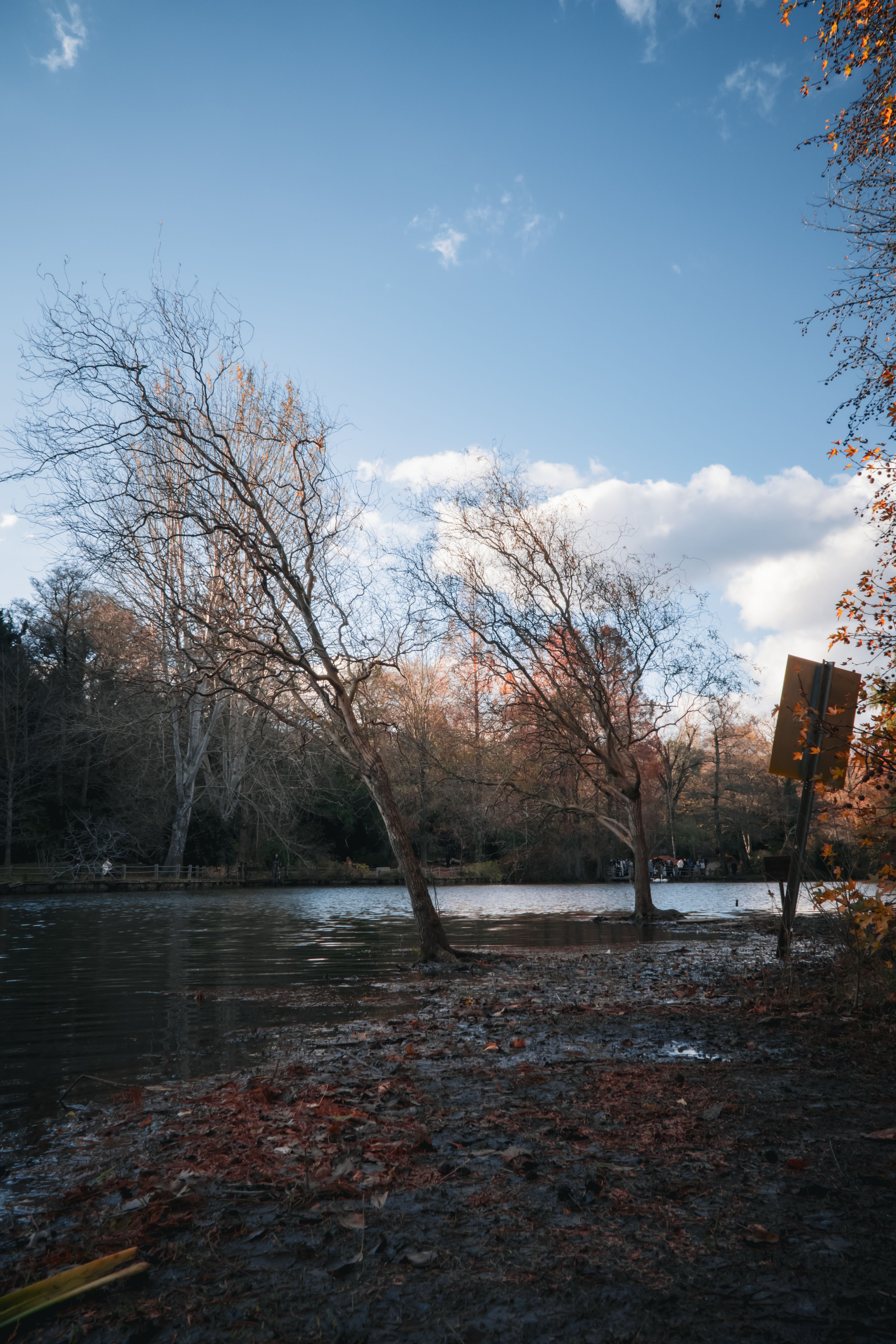 Analise Observational Photos, Download The BEST Free Analise ...