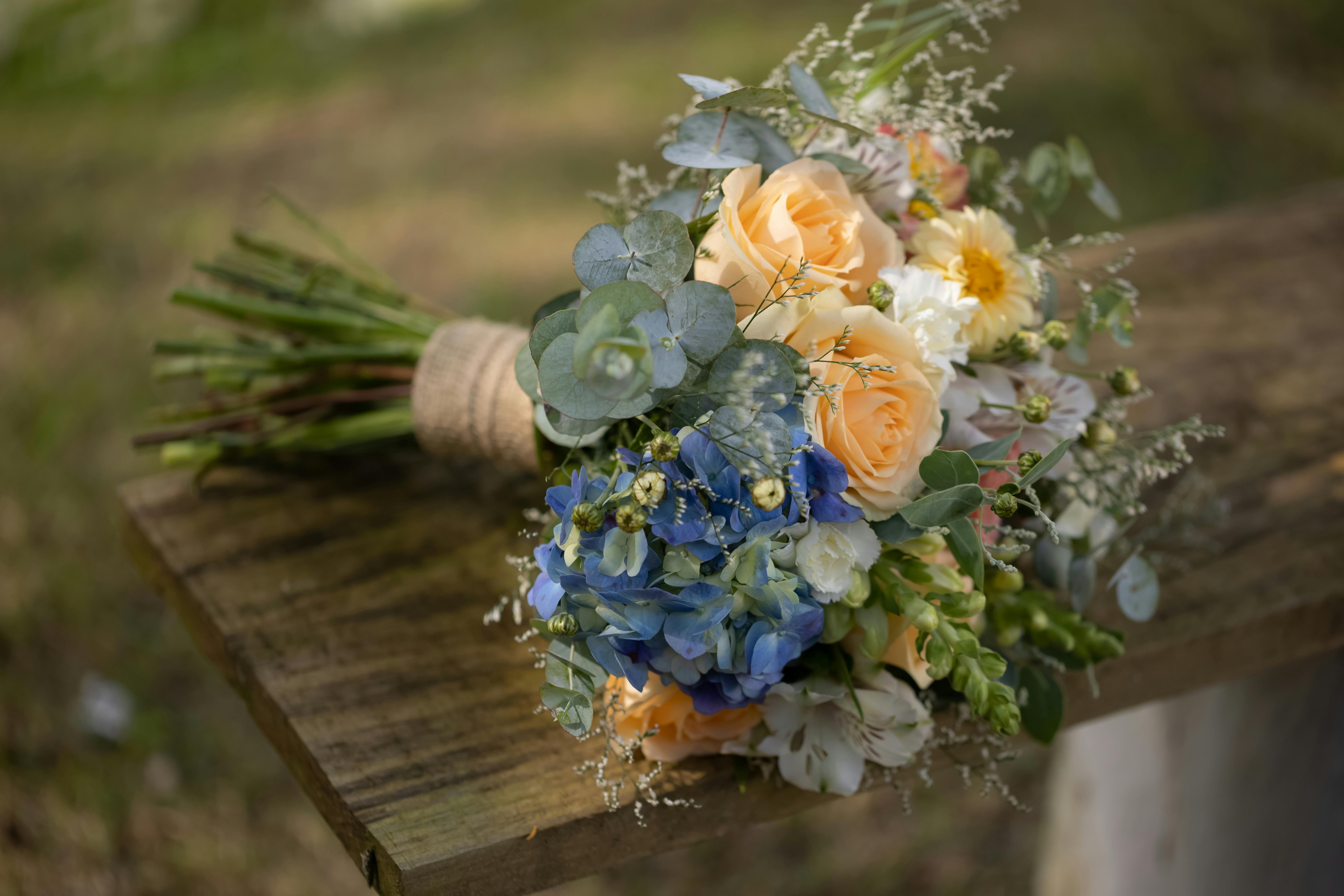 Fresh Blooms Photos, Download The BEST Free Fresh Blooms Stock Photos ...