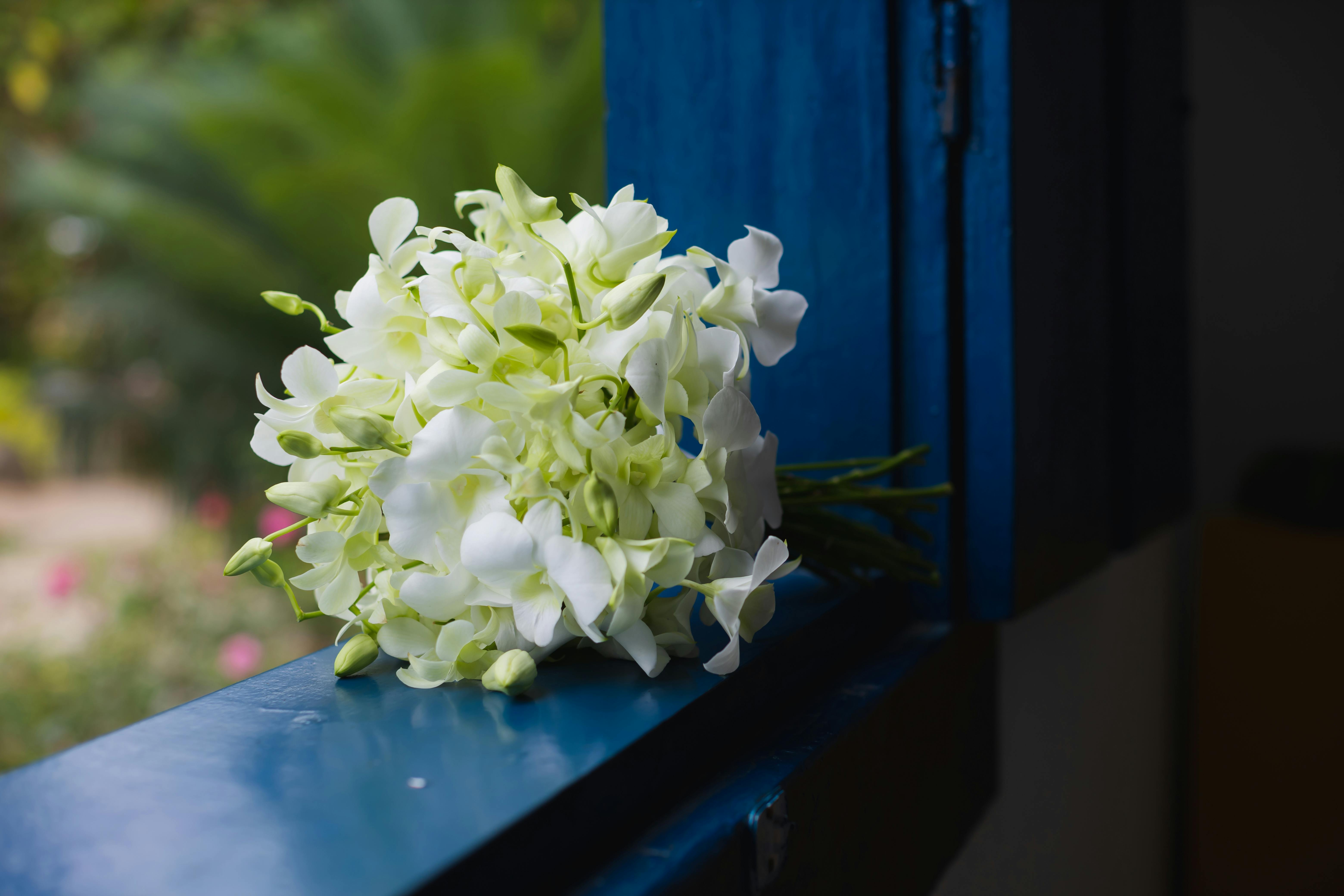 Blue Window Sill Photos, Download The BEST Free Blue Window Sill Stock ...