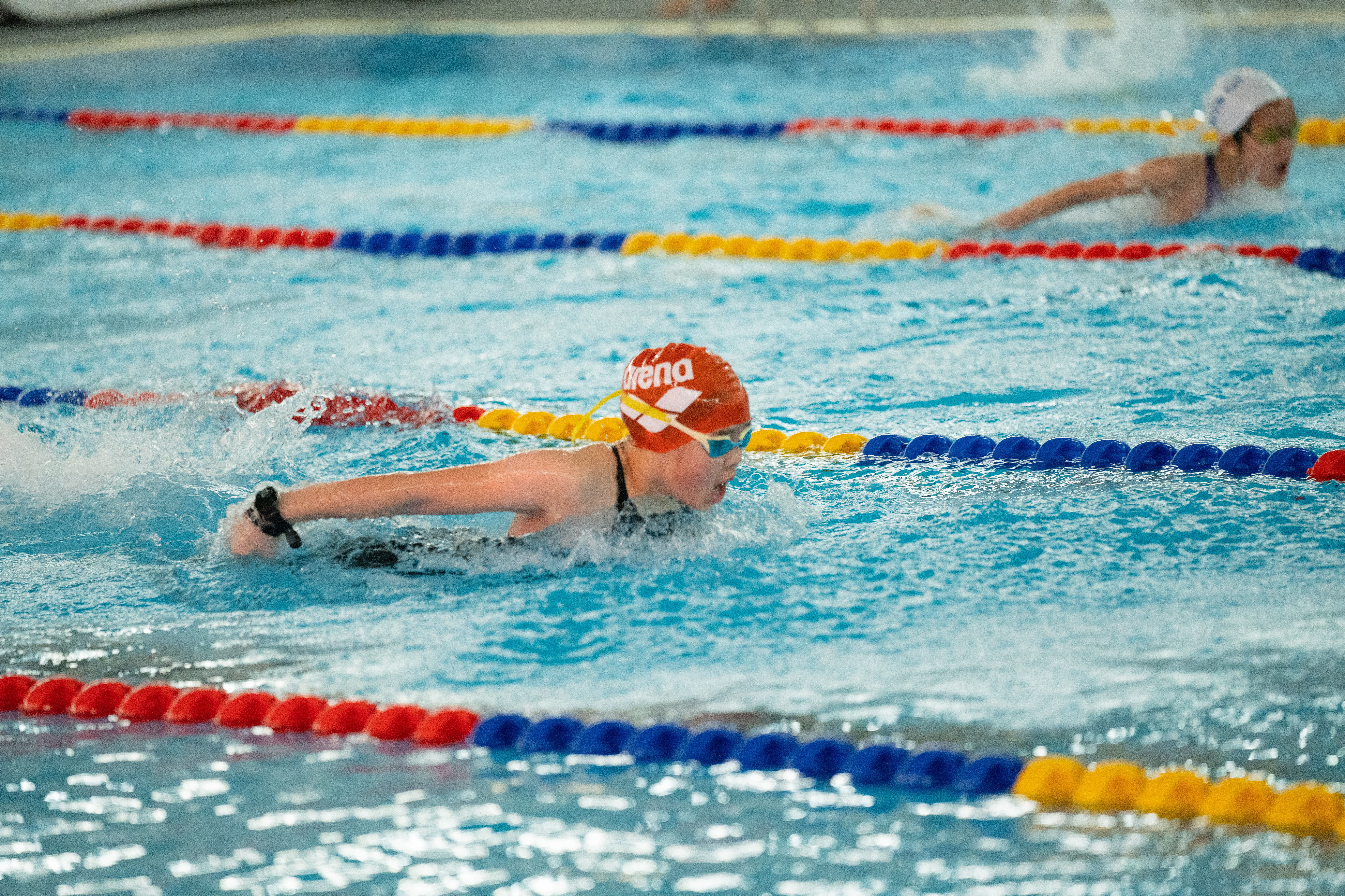 Competitive Swimming Race in Indoor Pool · Free Stock Photo