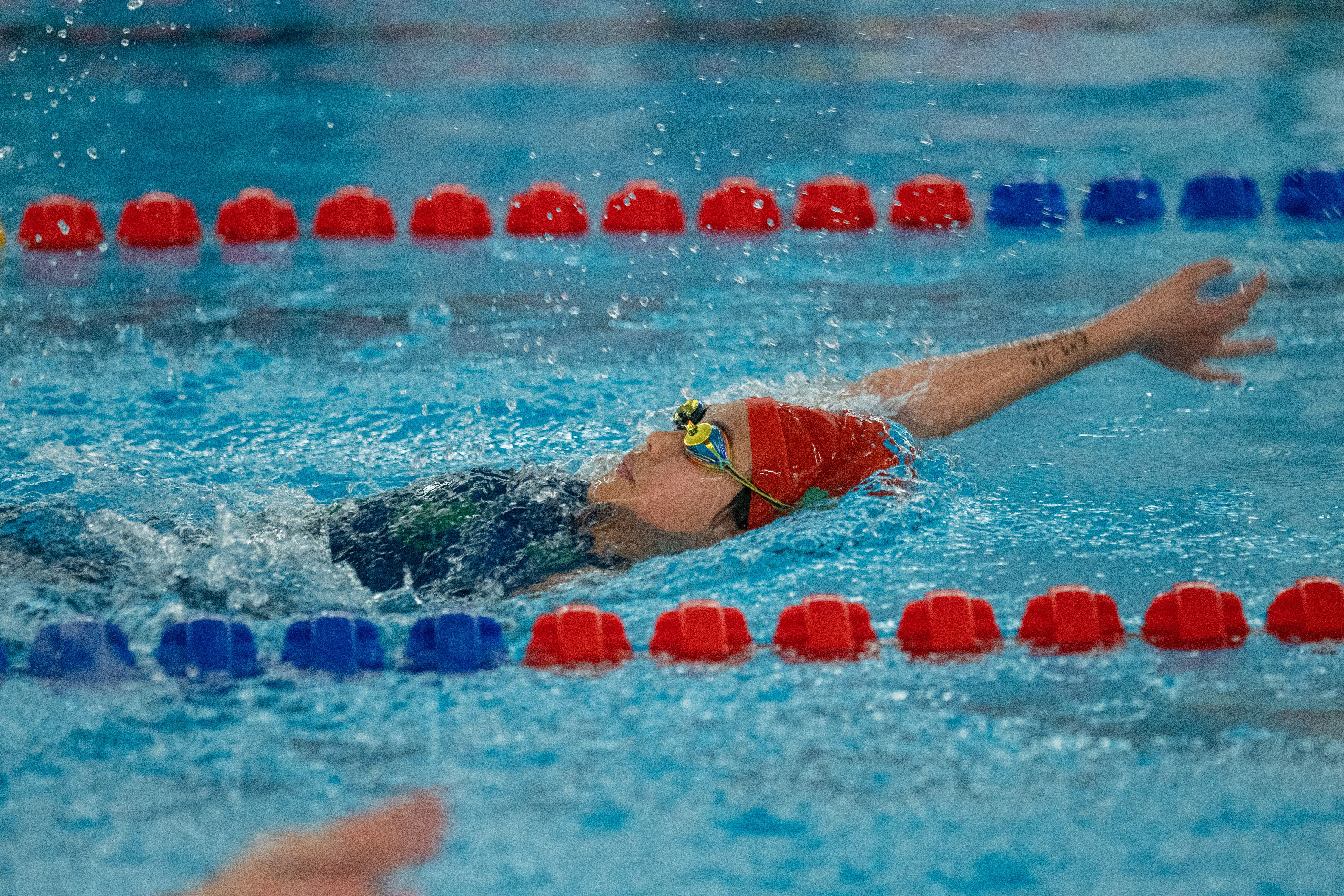 Competitive swimmer in action at indoor pool · Free Stock Photo
