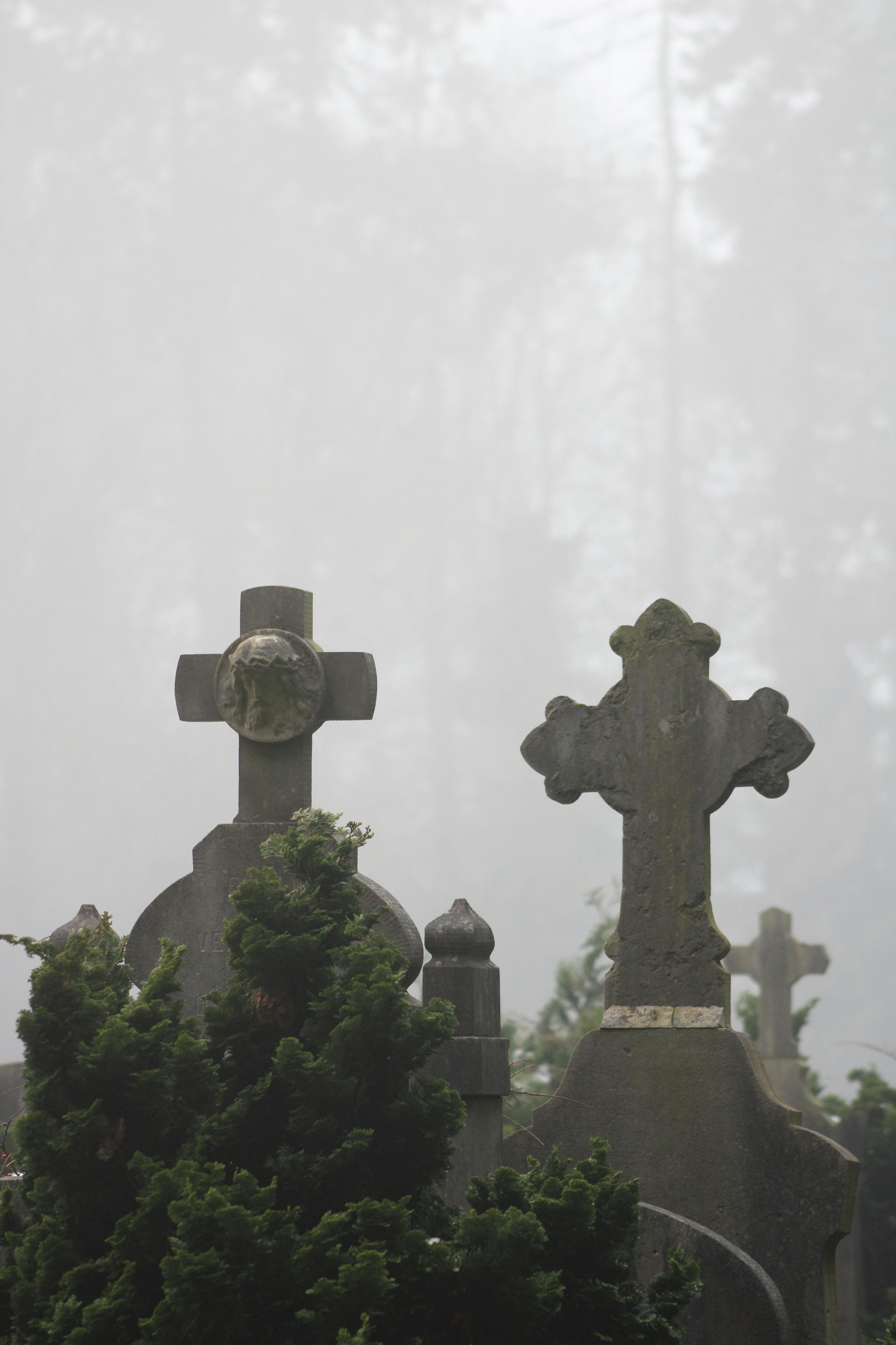 Old cemetery with shabby tombstones and lush trees · Free Stock Photo
