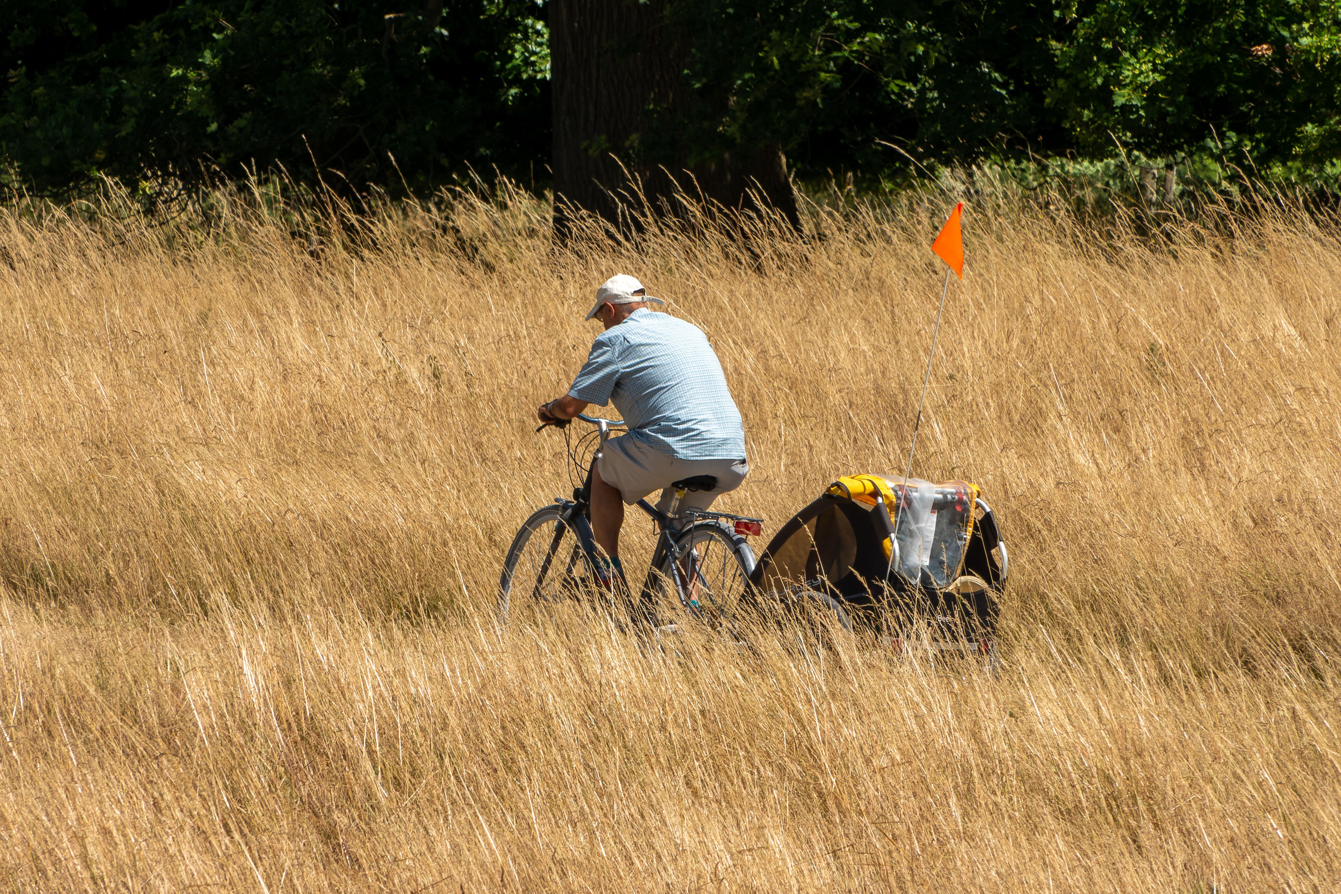 Cyclist Enjoying a Peaceful Ride Through Dry Grass Field · Free Stock Photo