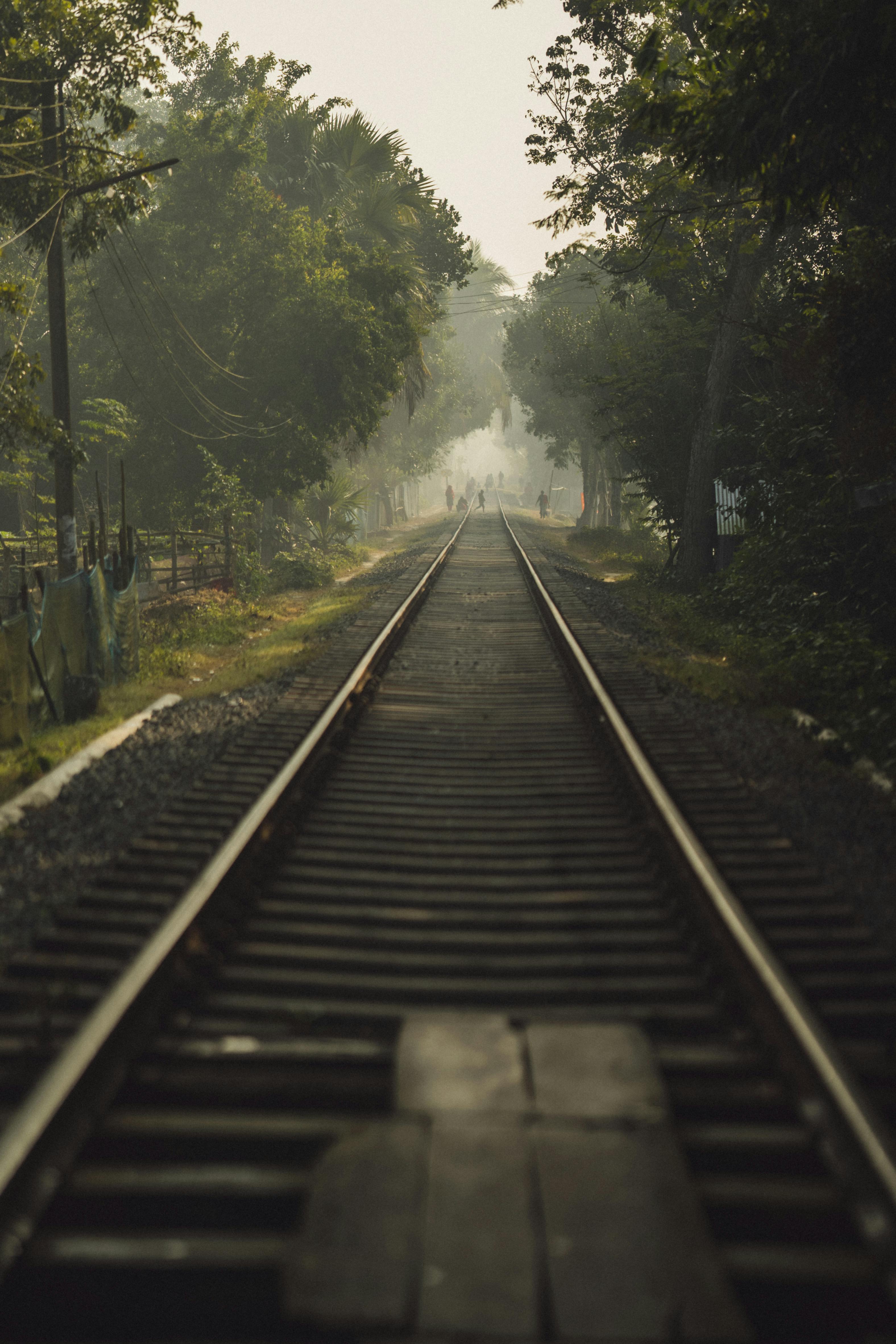 Snake Straight Line Photos, Download The BEST Free Snake Straight Line ...