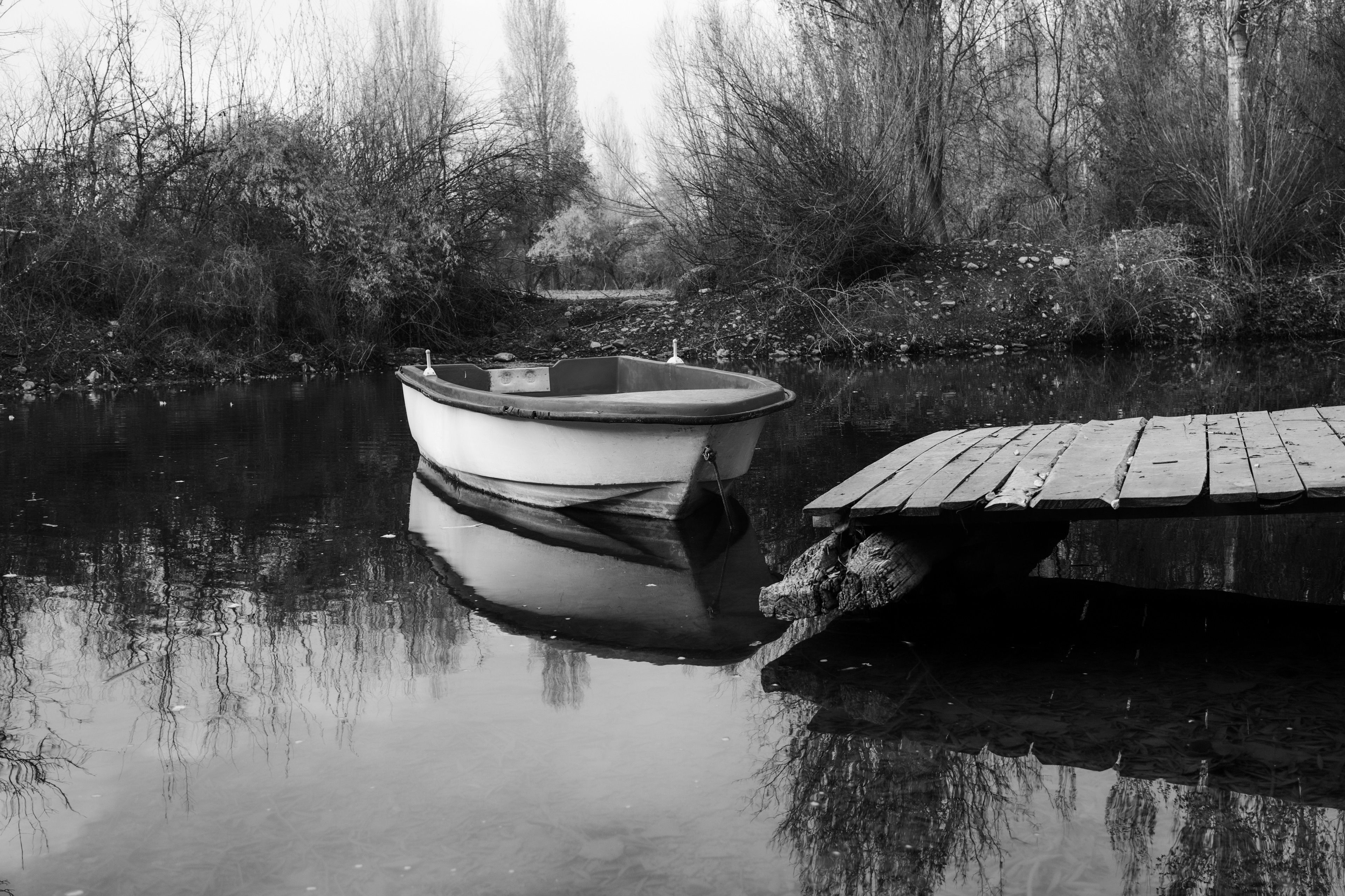 Tranquil Black and White Rowboat Scene on Lake · Free Stock Photo