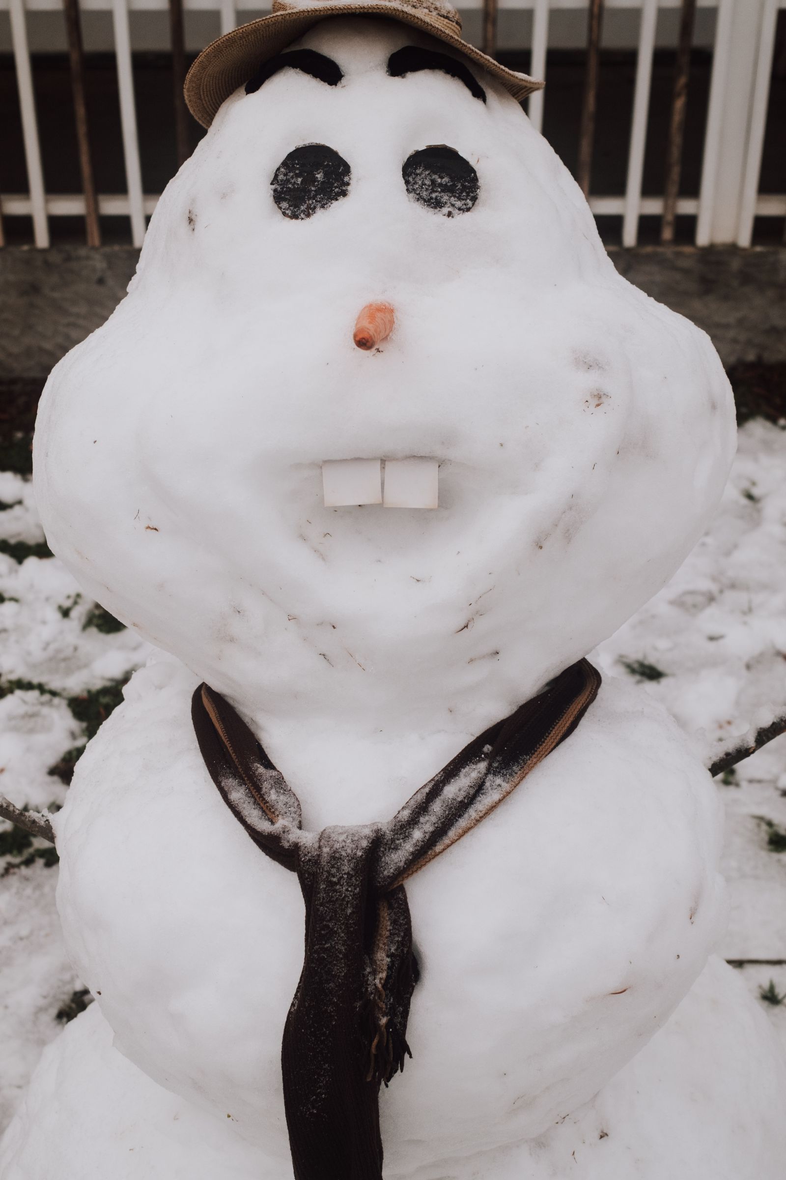 Snowman Cartoon Photos, Download The BEST Free Snowman Cartoon Stock ...