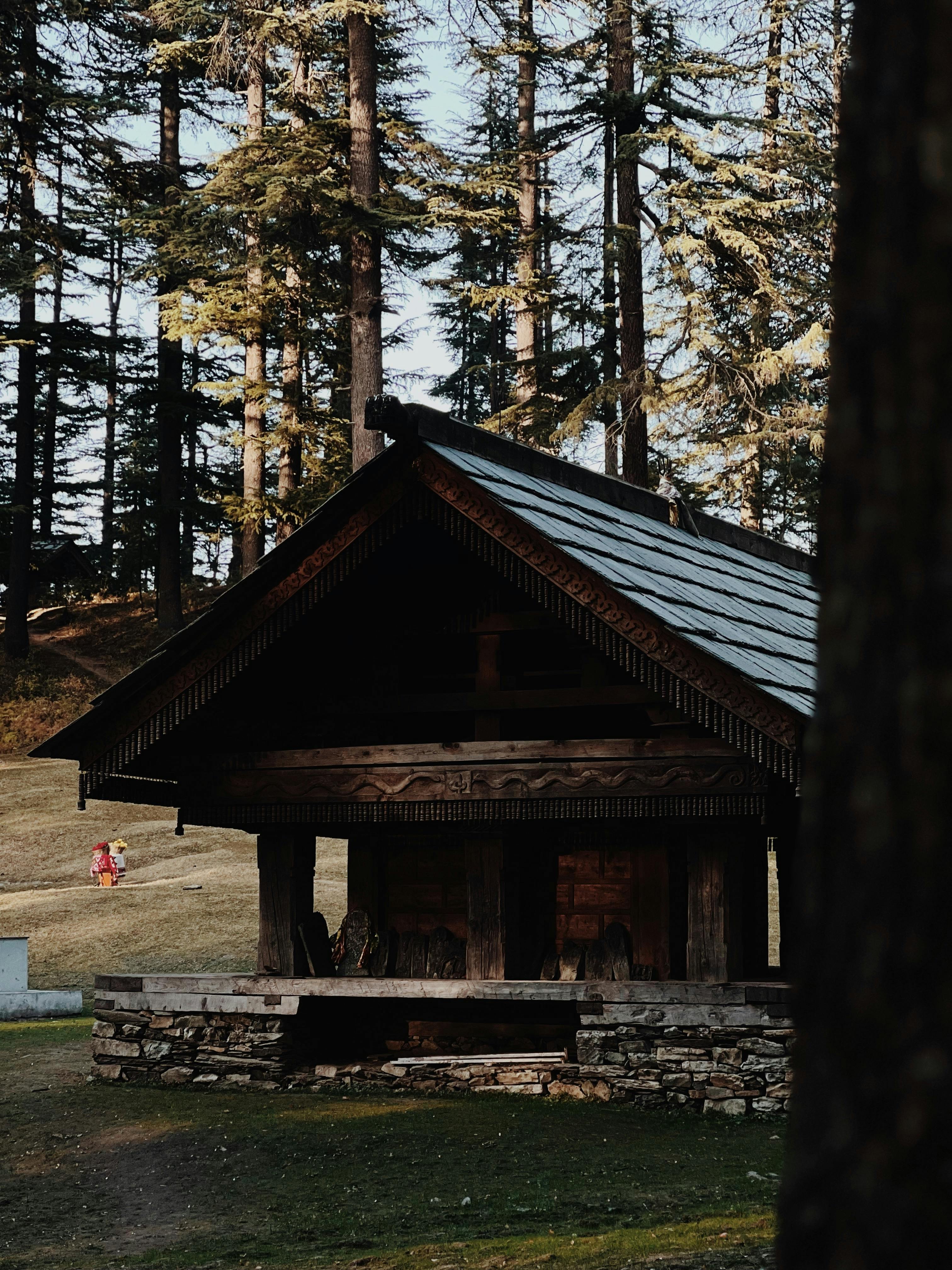 Rustic Wooden Hut in Serene Forest Setting · Free Stock Photo