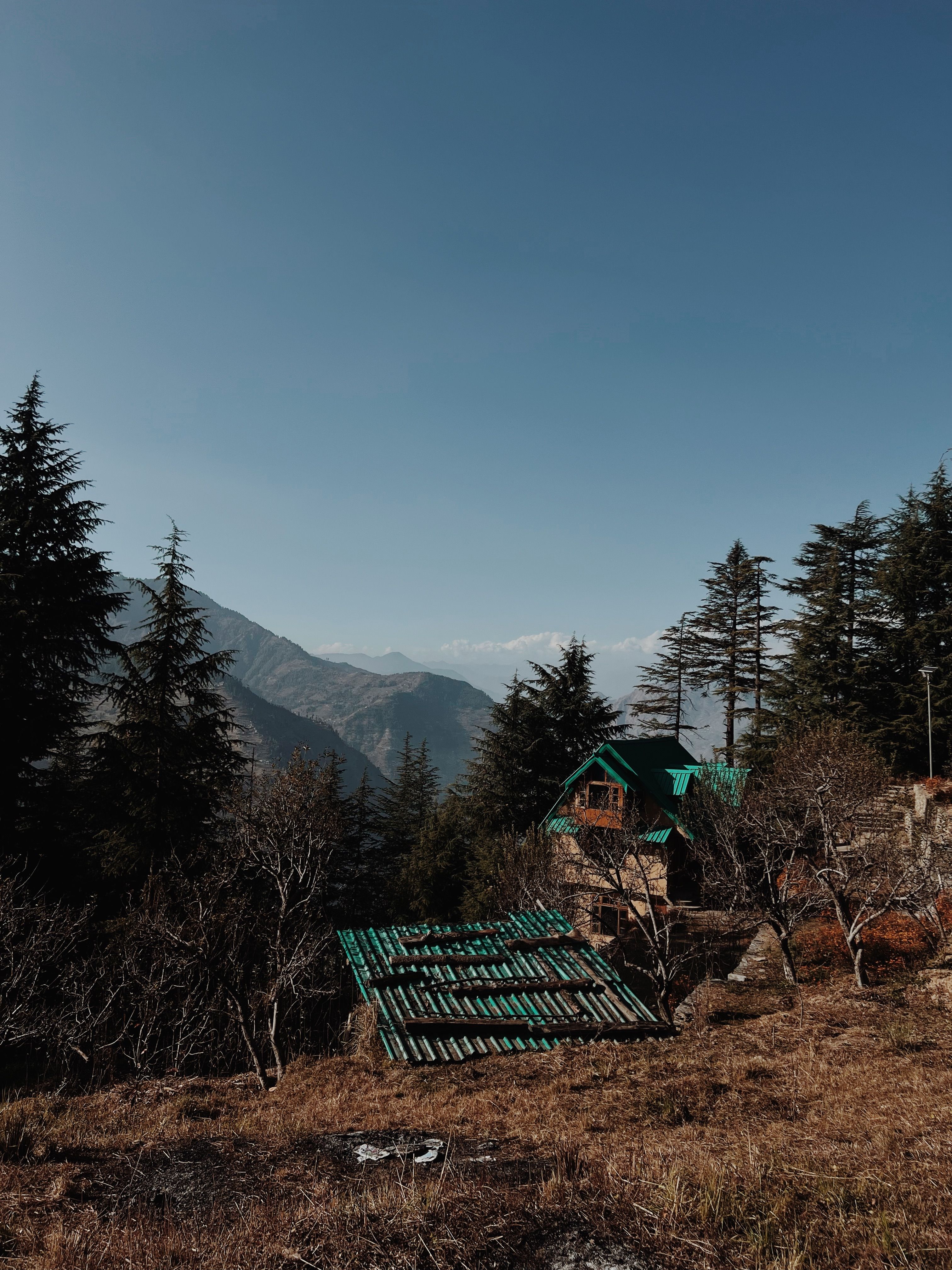 Cabaña Panorámica En La Montaña Con Pinos · Foto de stock gratuita