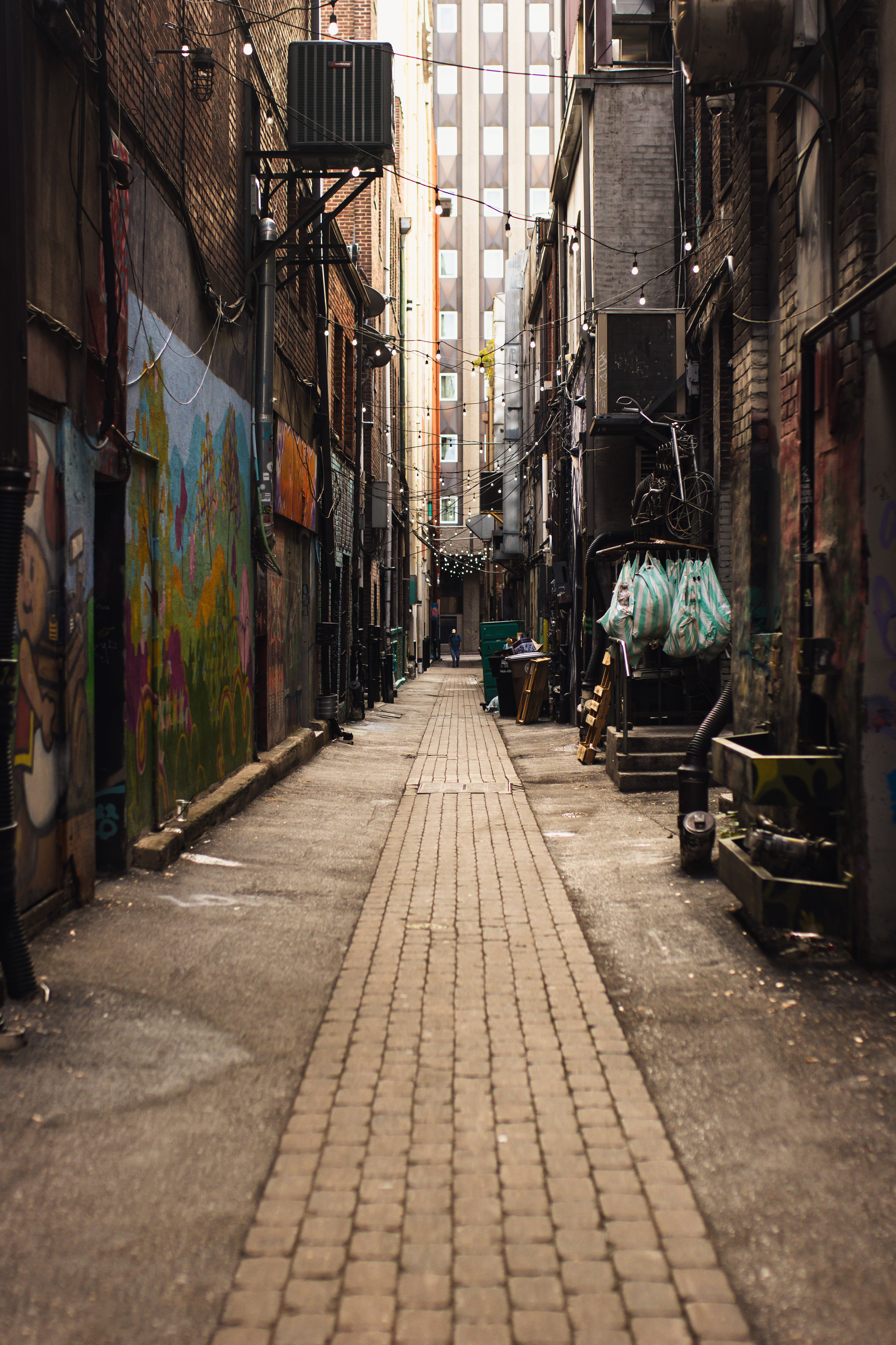 Urban Alleyway with Graffiti and String Lights · Free Stock Photo