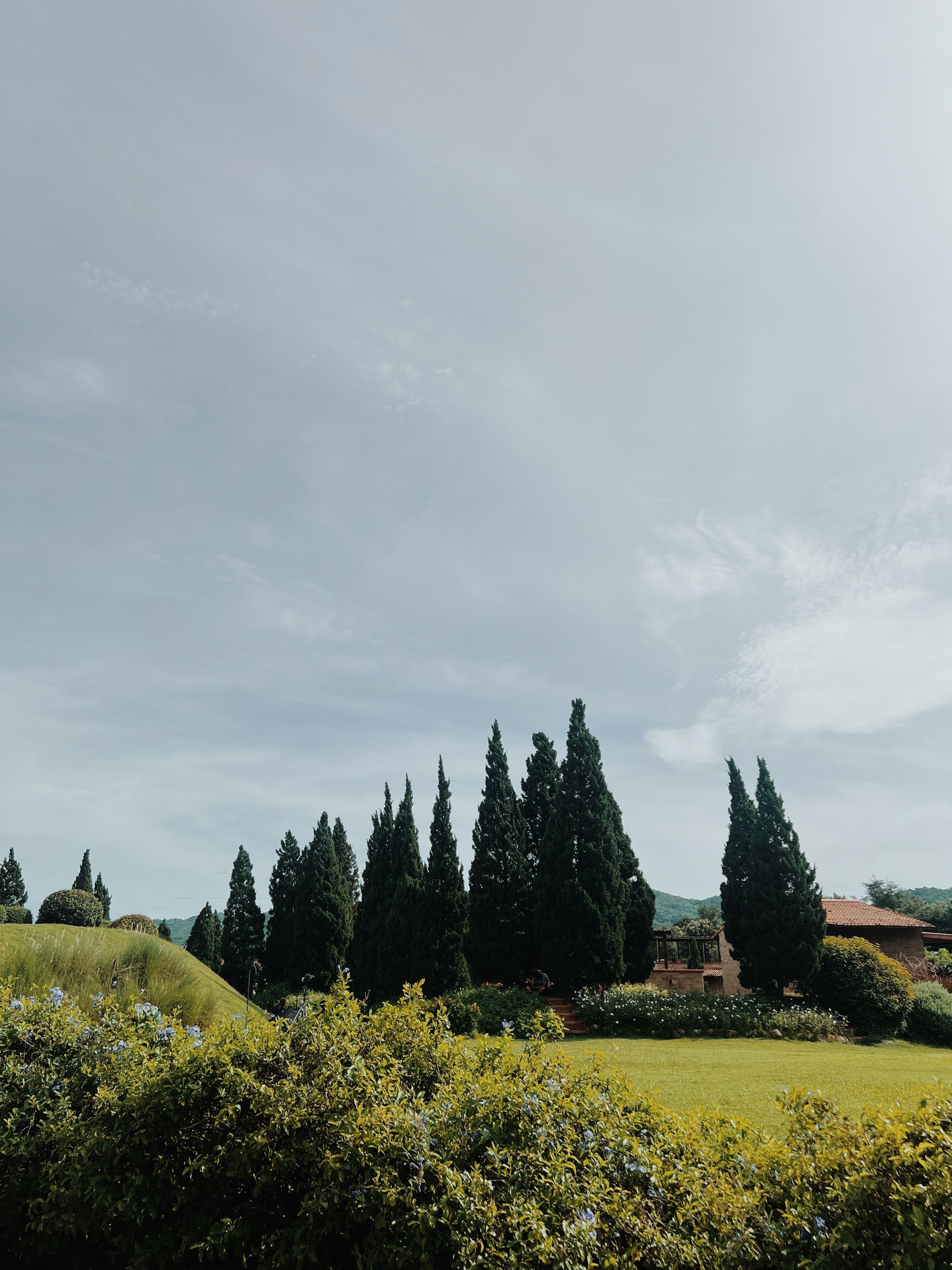 Scenic Landscape with Cypress Trees and Greenery · Free Stock Photo