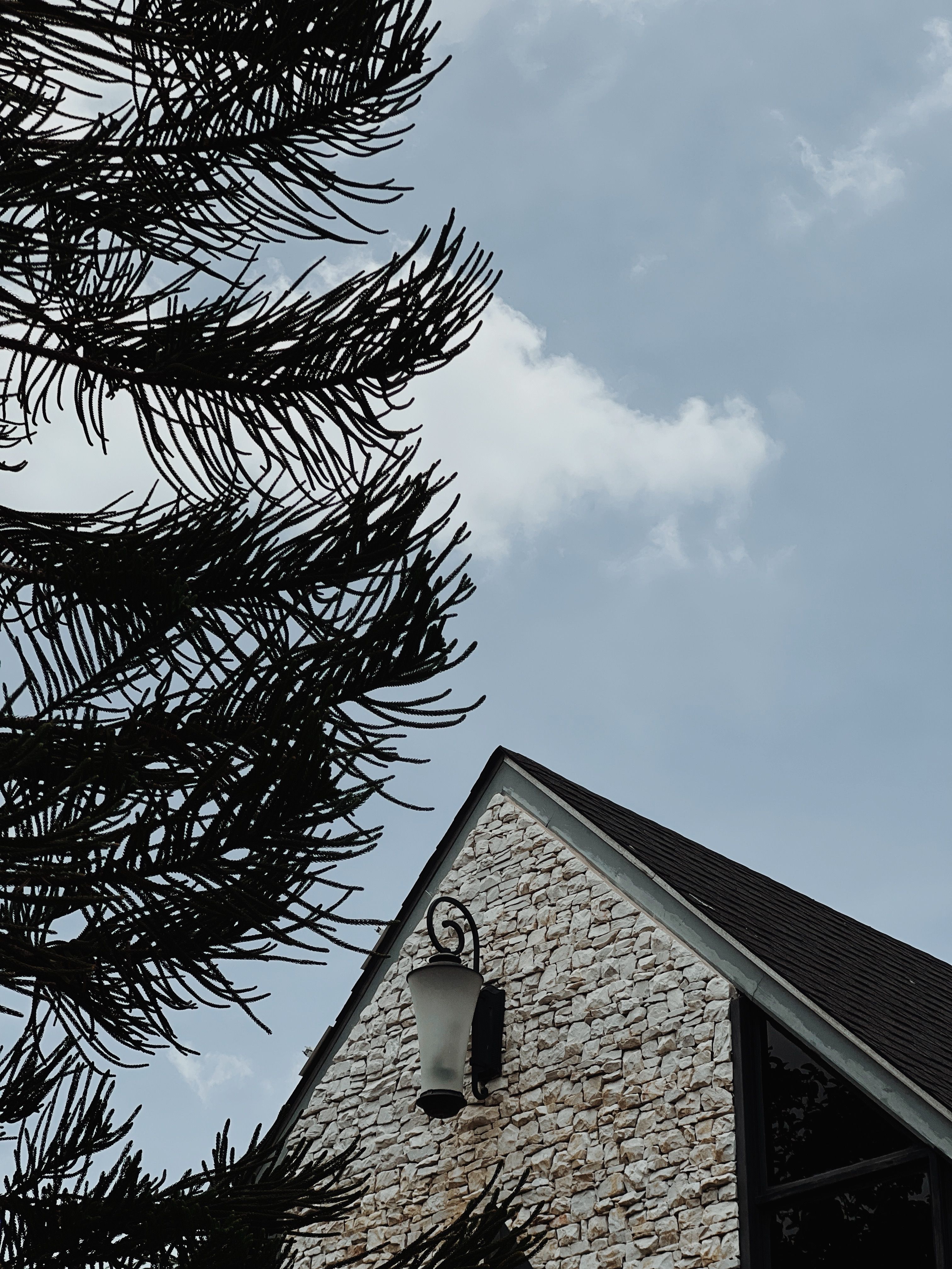 Vintage Stone Building with Pine Tree Silhouette · Free Stock Photo