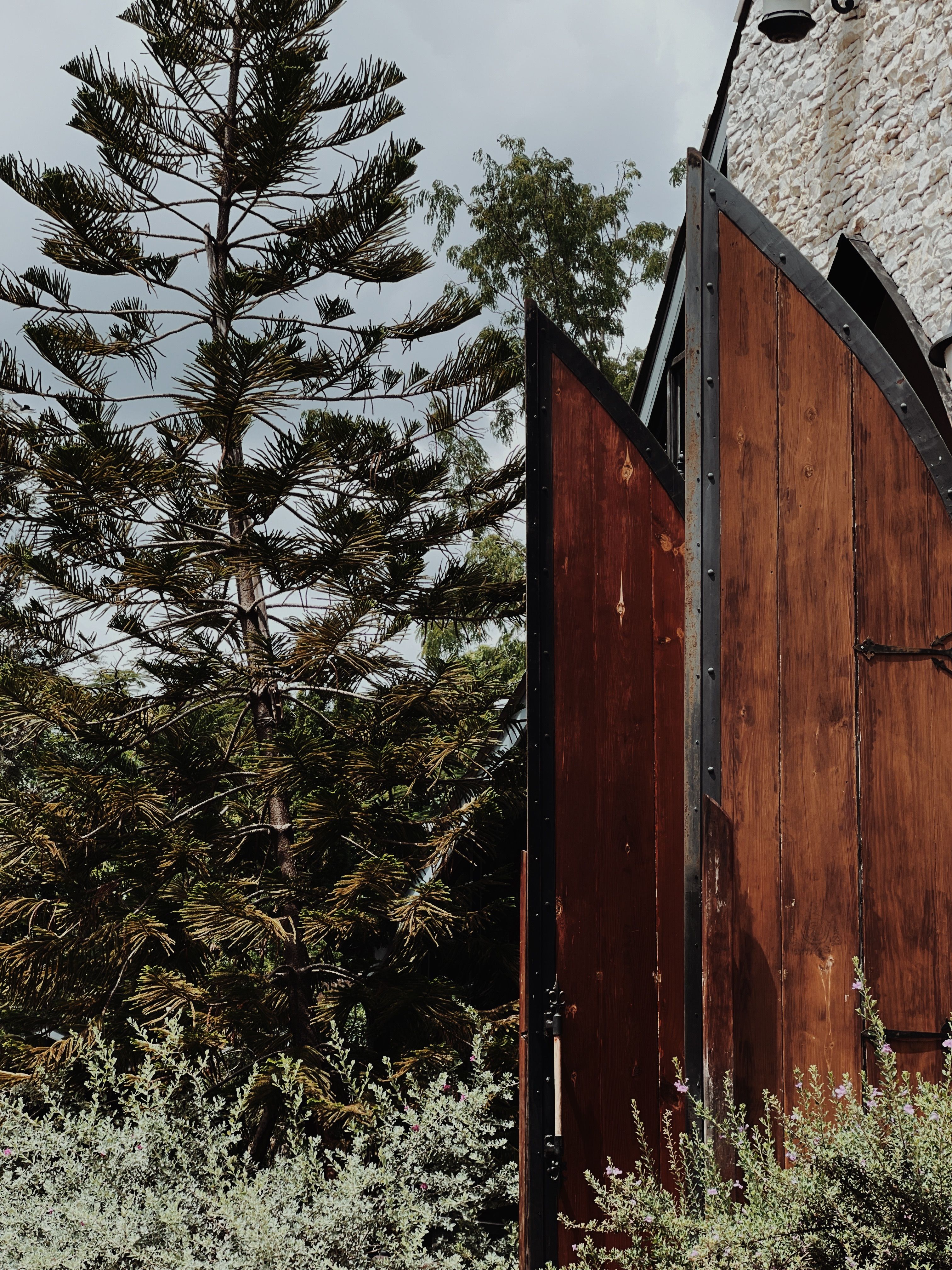 Rustic Wooden Door in Lush Garden Setting · Free Stock Photo