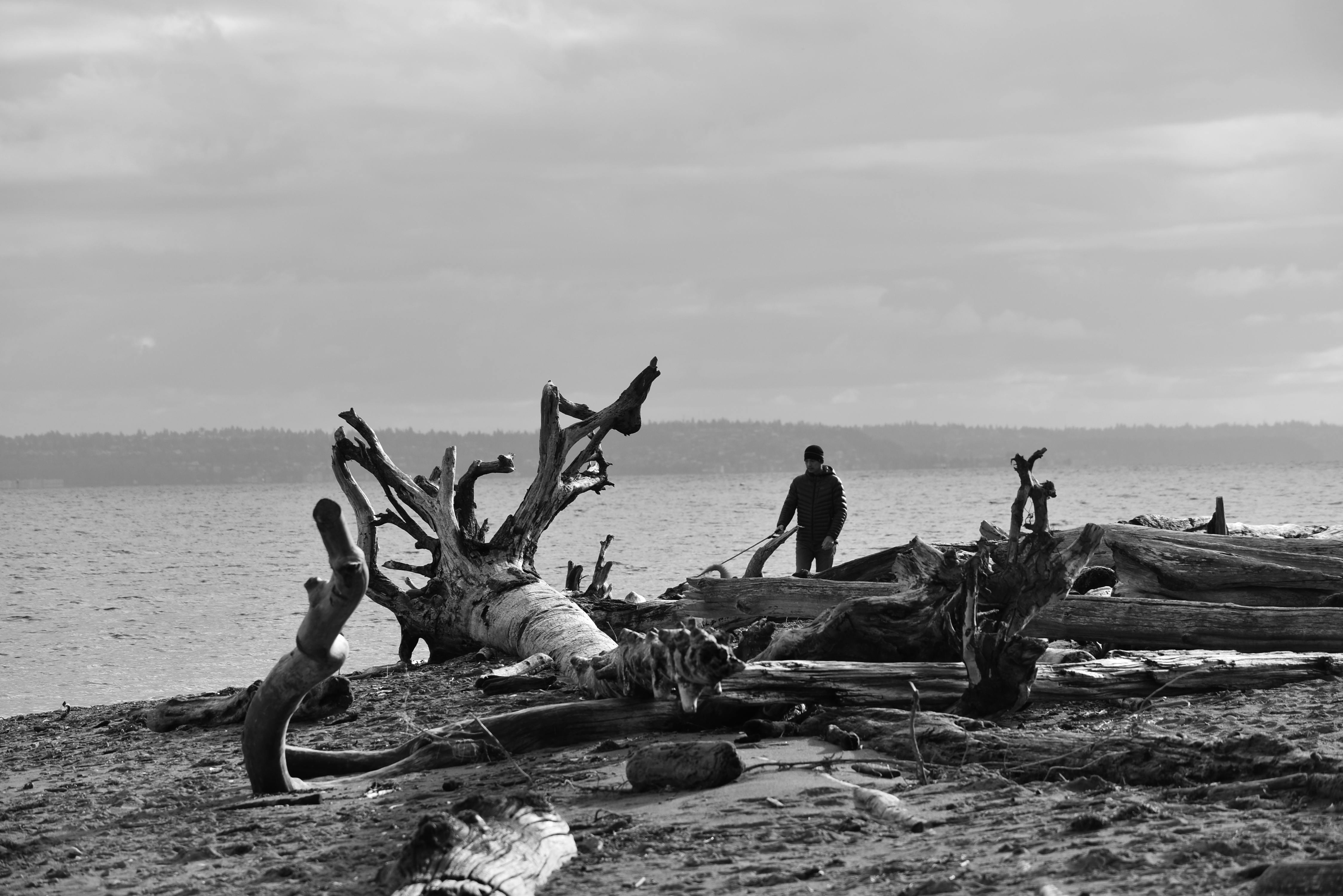 Edge Mean Photos, Download The BEST Free Edge Mean Stock Photos & HD Images